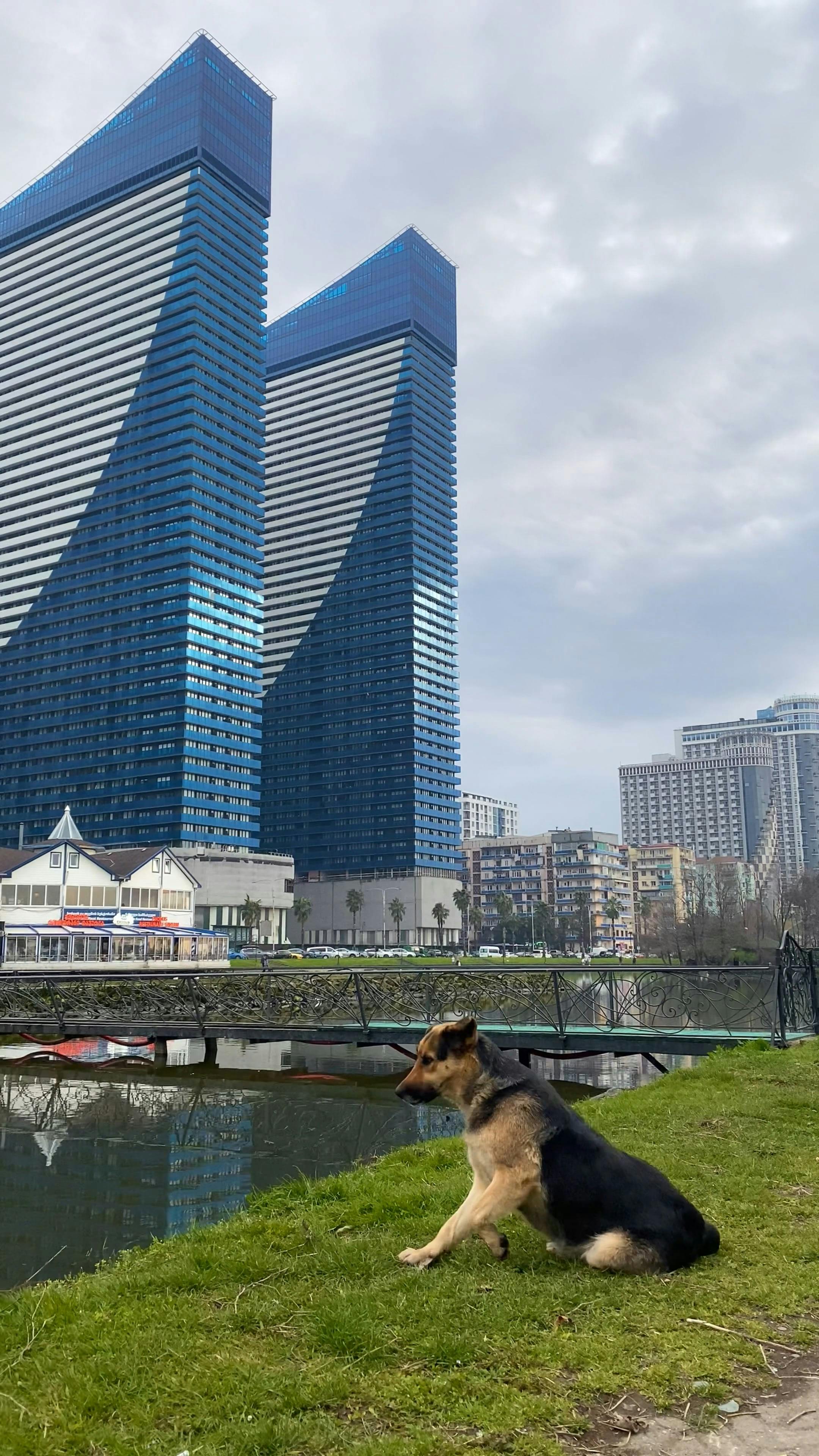 Vídeos de stock gratuitos sobre @al aire libre, ambiente al aire libre ...
