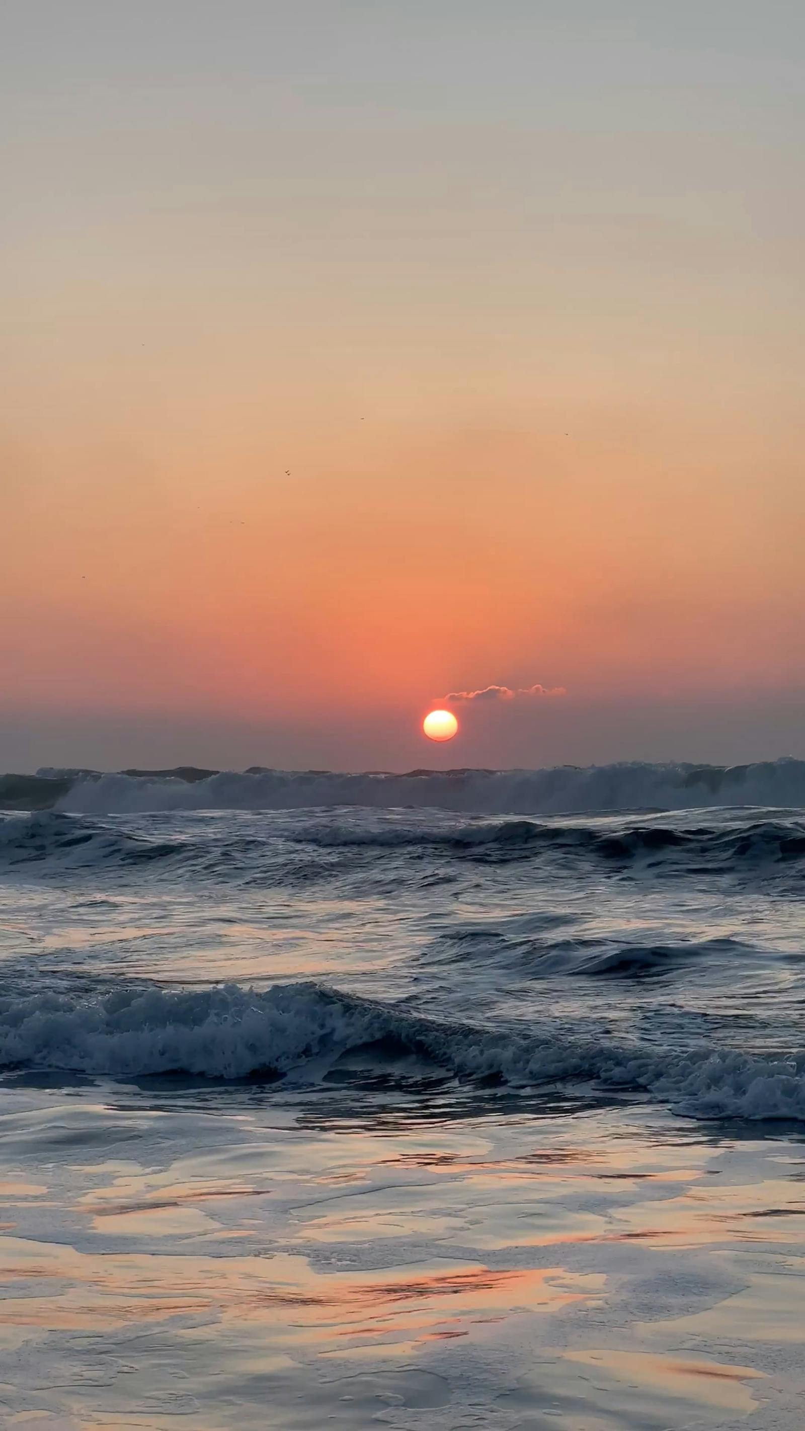 Big Wave Videos, Download The BEST Free 4k Stock Video Footage & Big ...