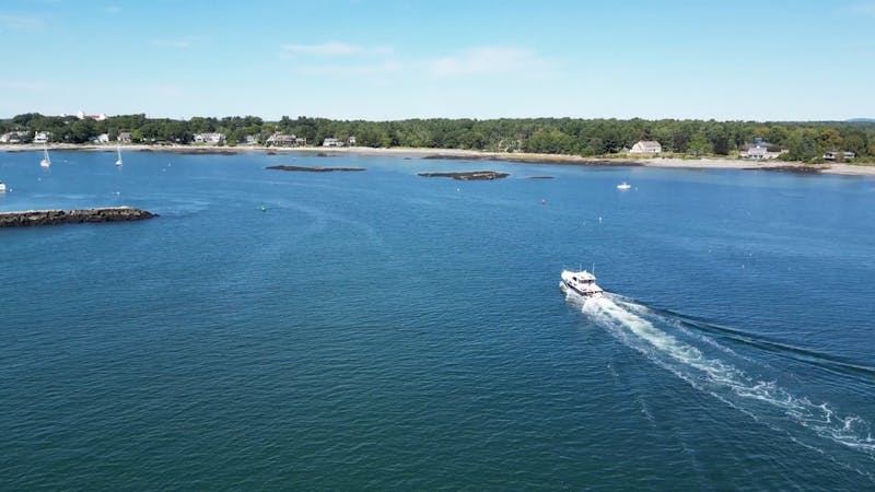 Free Stock Footage Videos, Download The BEST Free 4k Stock Video ...