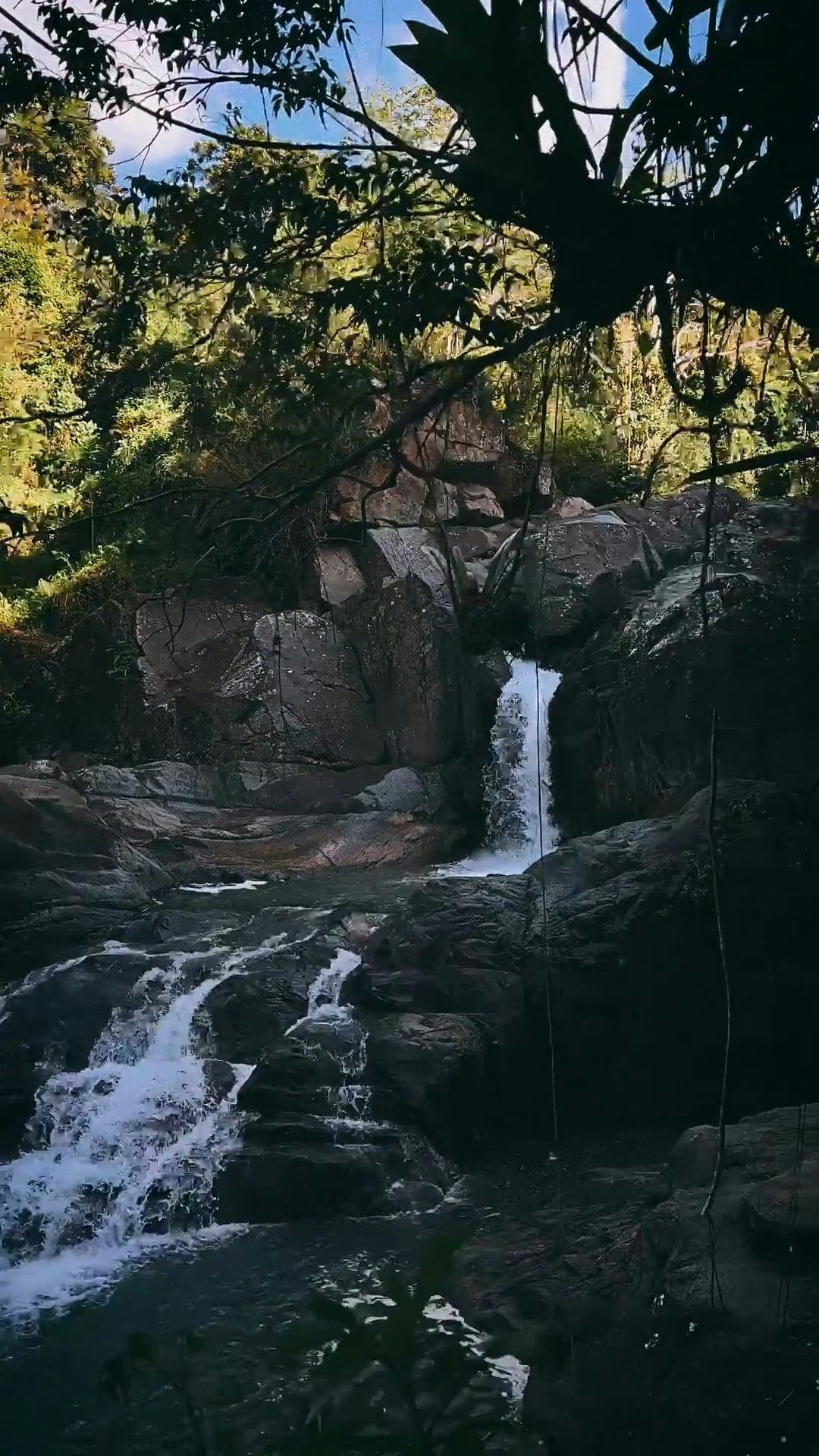 Vídeos de stock gratuitos sobre al aire libre, arroyo, aventura, barba ...