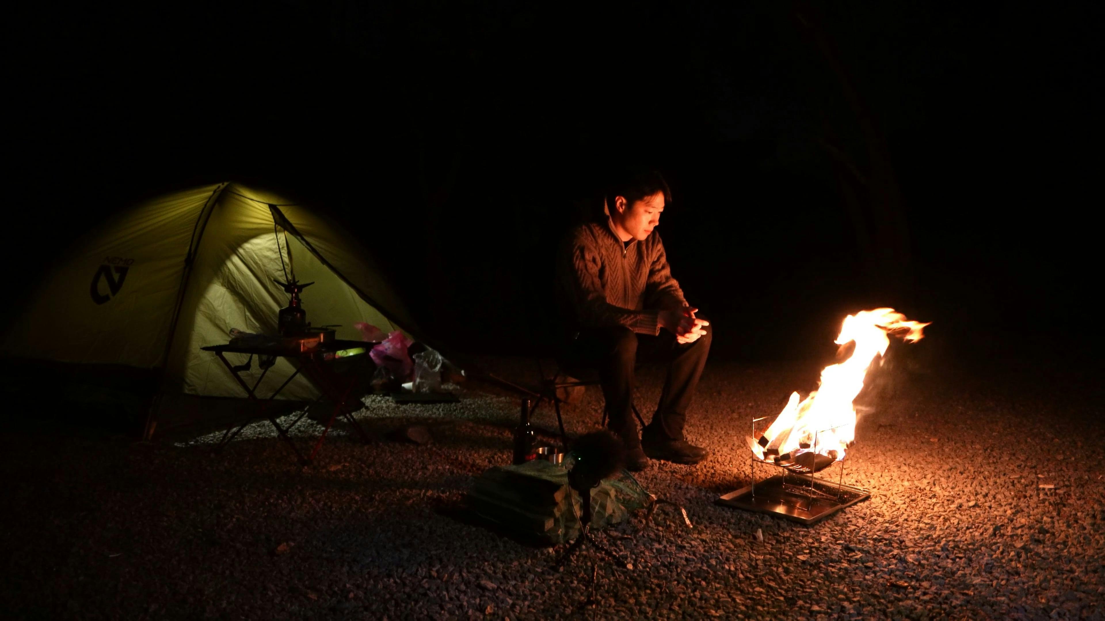 Pilze Und One Night Stands Videos, Download The BEST Free 4k Stock ...