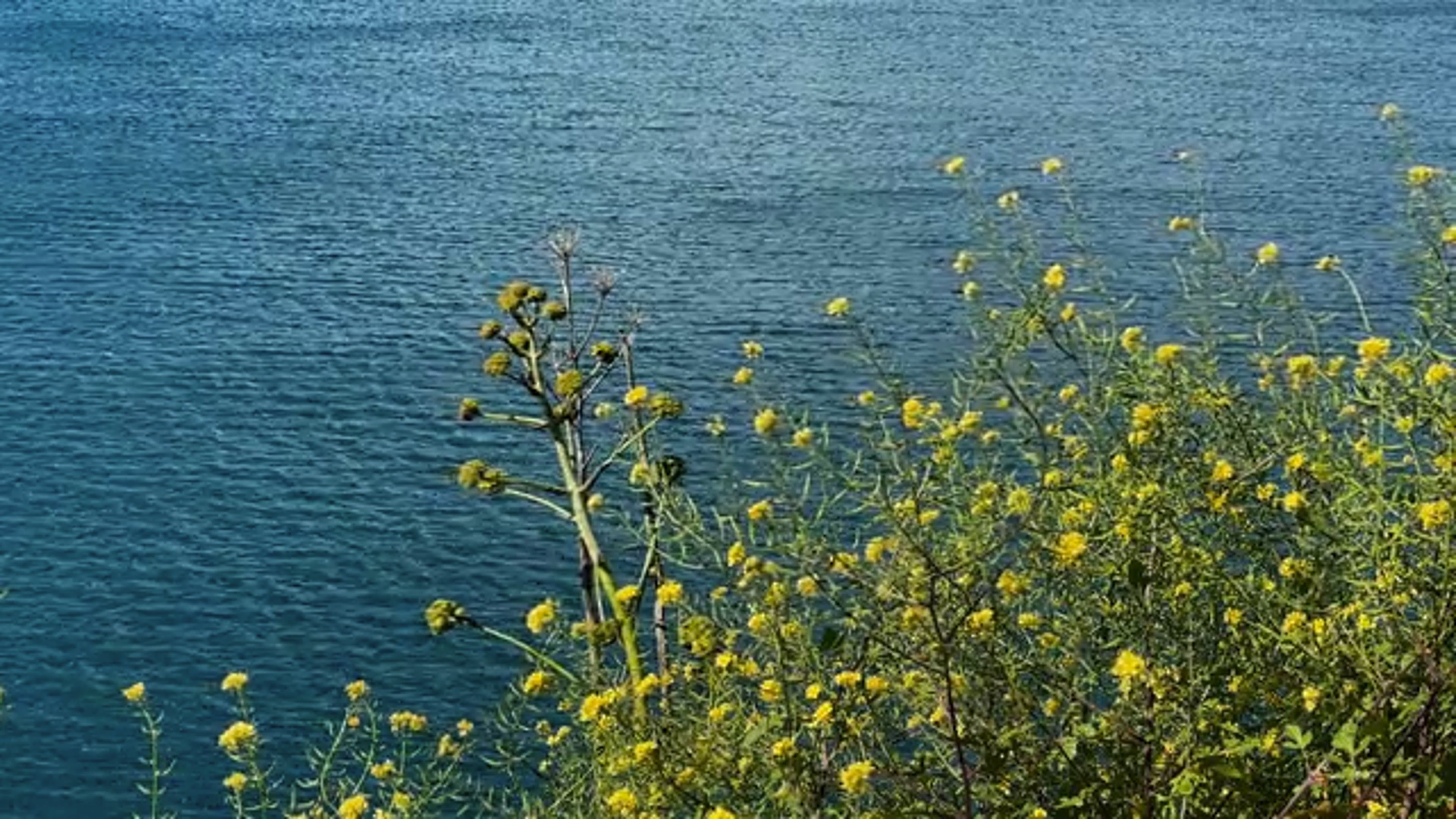 Ocean Ackground Videos, Download The BEST Free 4k Stock Video Footage ...