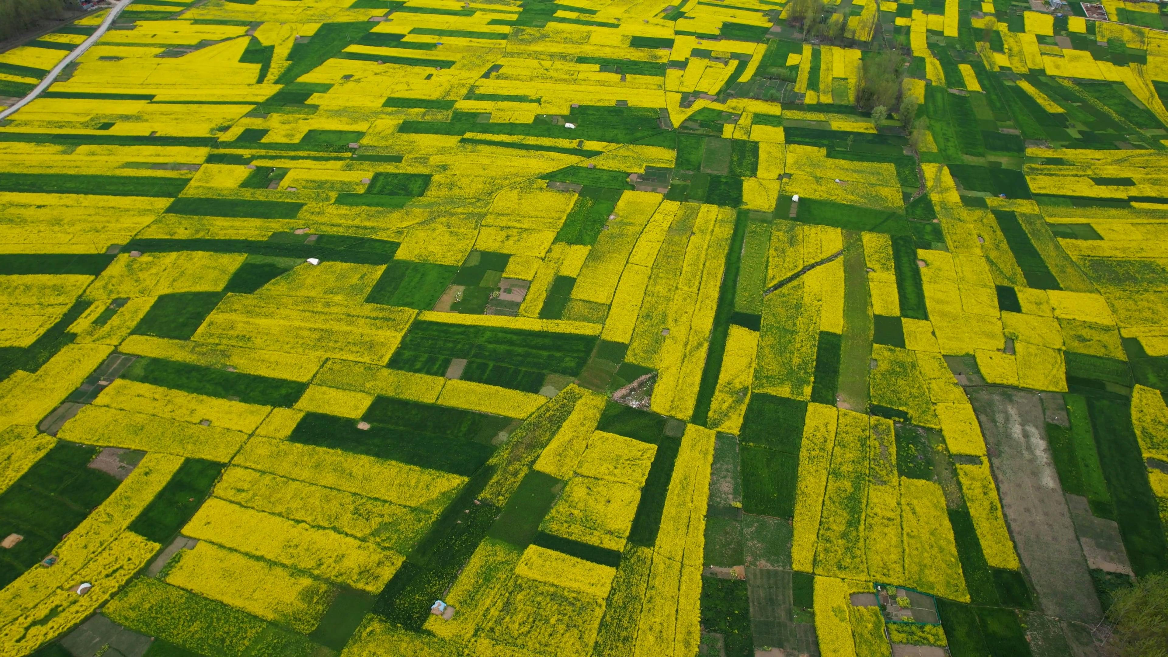 SONY SLOG 3 FOOTAGE FREE DOWNLOAD FOR COLOR GRADING Free Stock Video ...