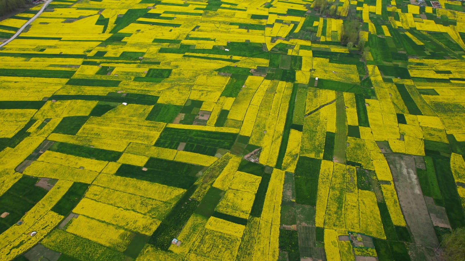 Free Video Download Videos, Download The BEST Free 4k Stock Video ...