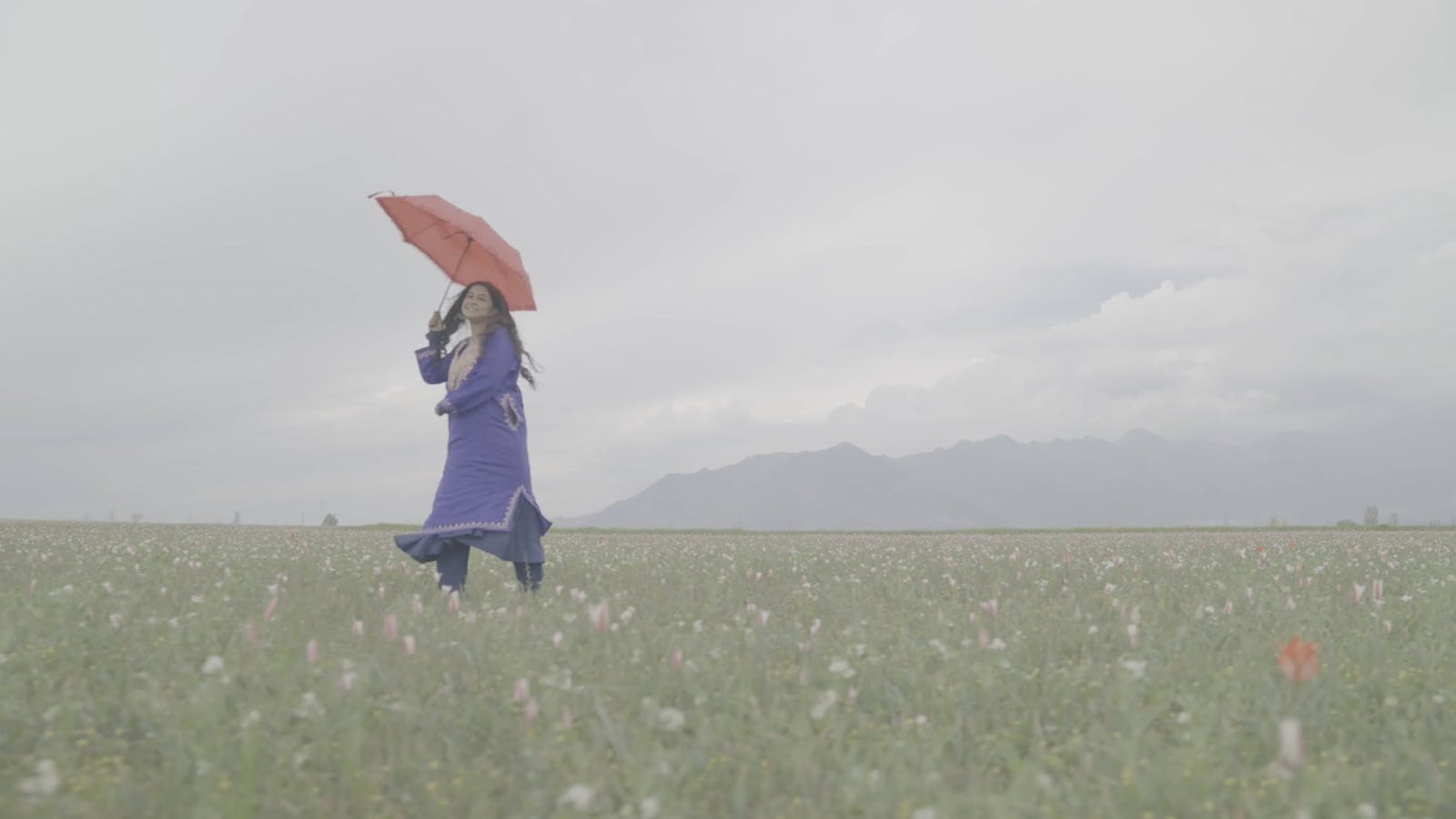 Free Video Download Videos, Download The BEST Free 4k Stock Video ...