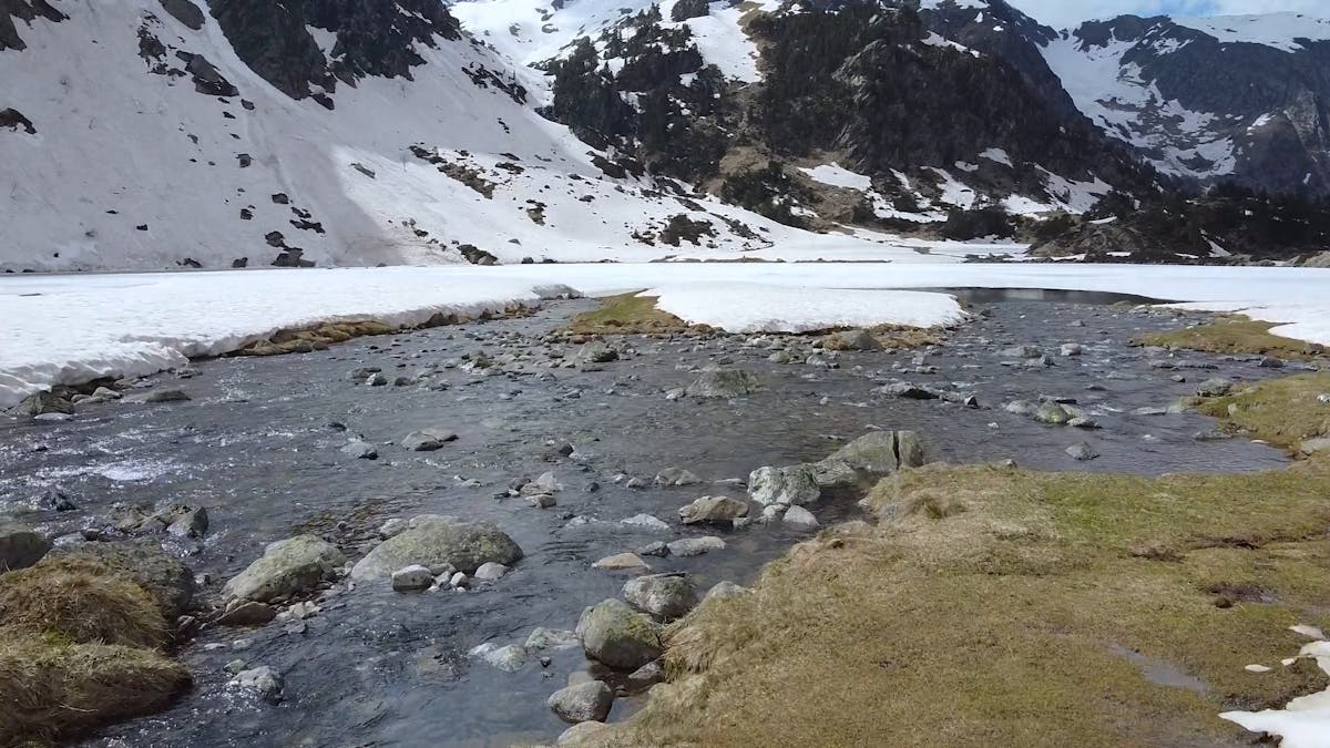 Secret+Handful+Free Videos, Download The BEST Free 4k Stock Video ...