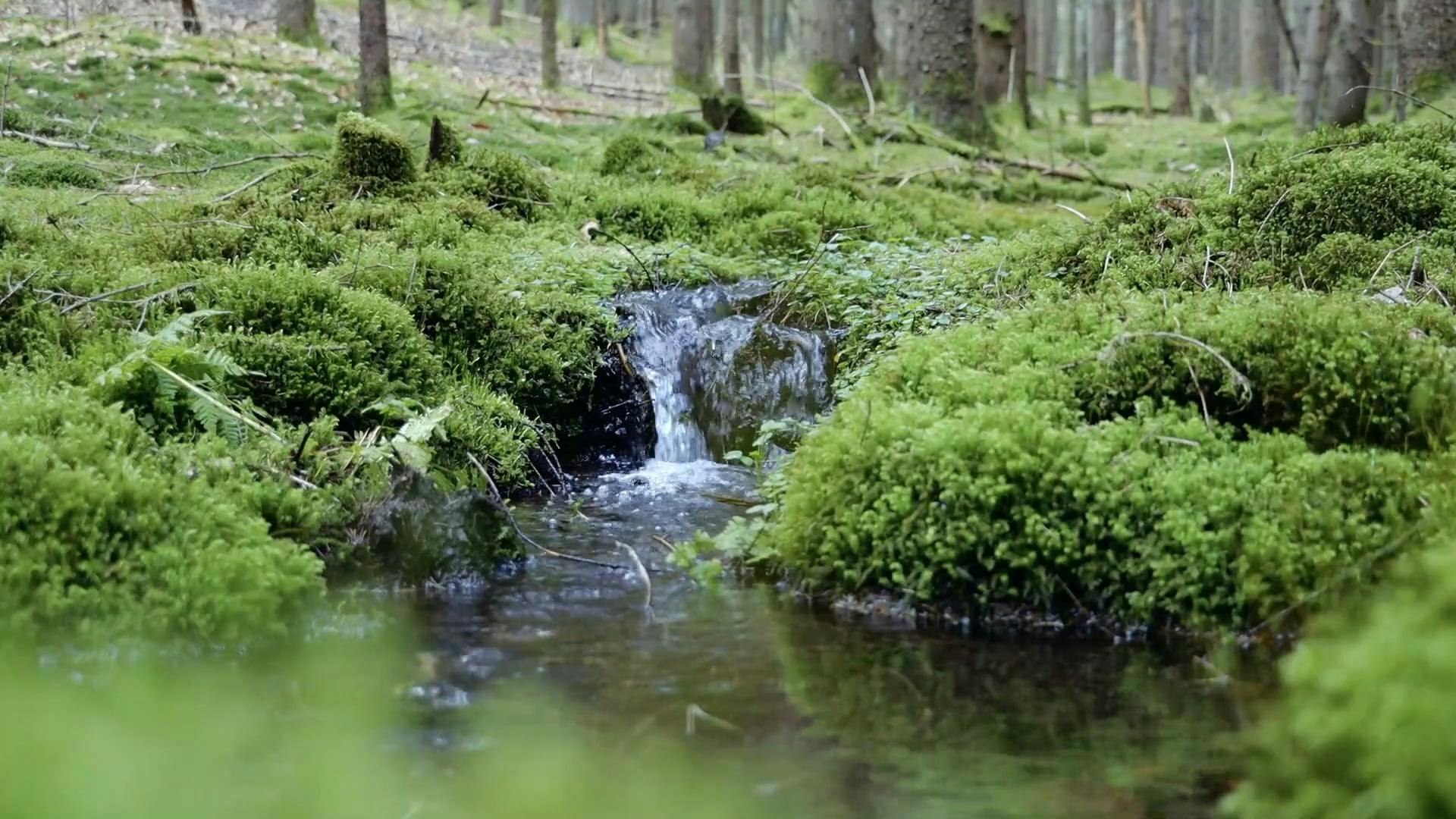 Source Videos, Download The BEST Free 4k Stock Video Footage & Source ...