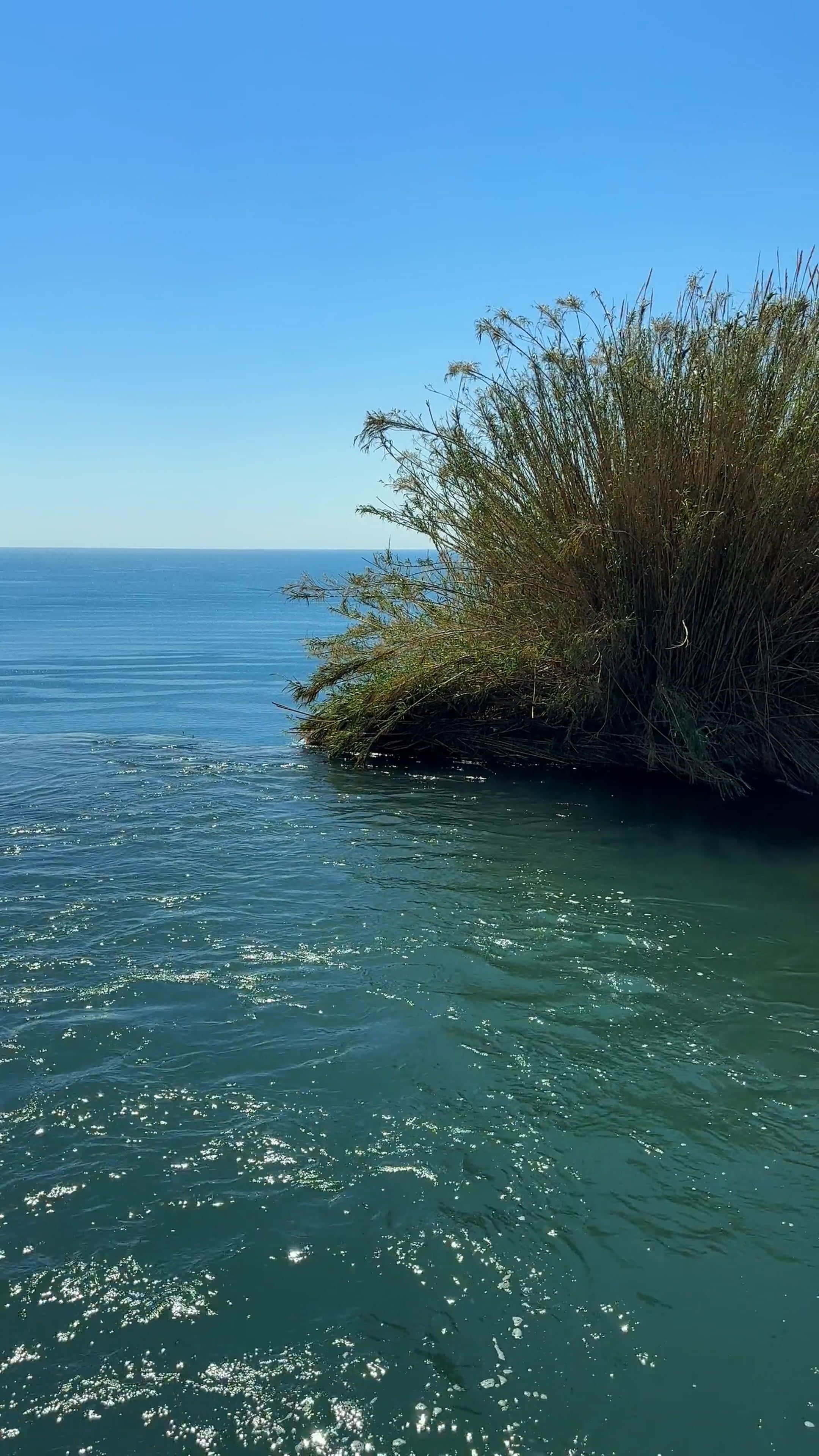 a flowing river in nature Free Stock Video Footage, Royalty-Free 4K ...