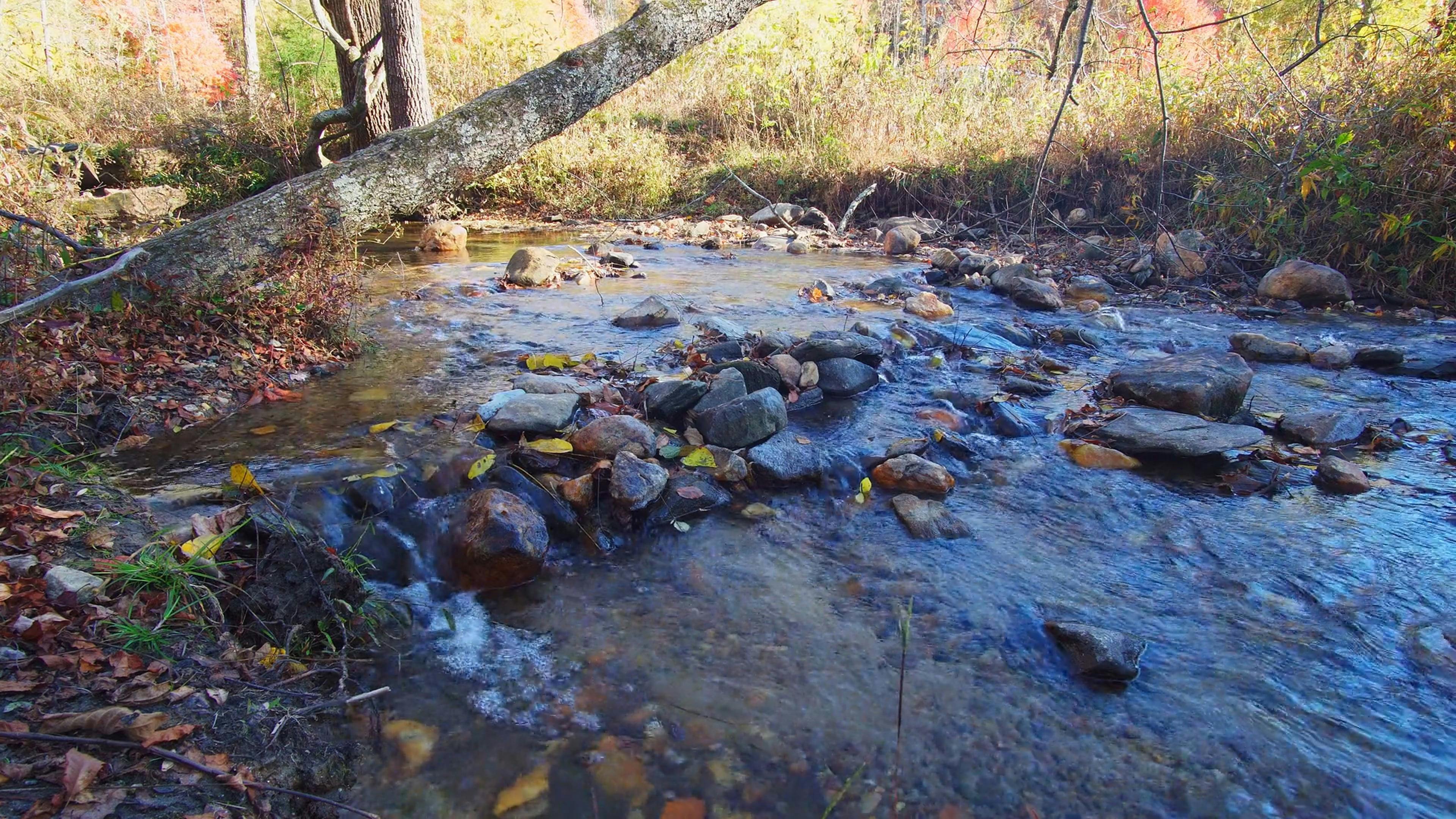Tranquil Autumn Creek in Tennessee Free Stock Video Footage, Royalty ...