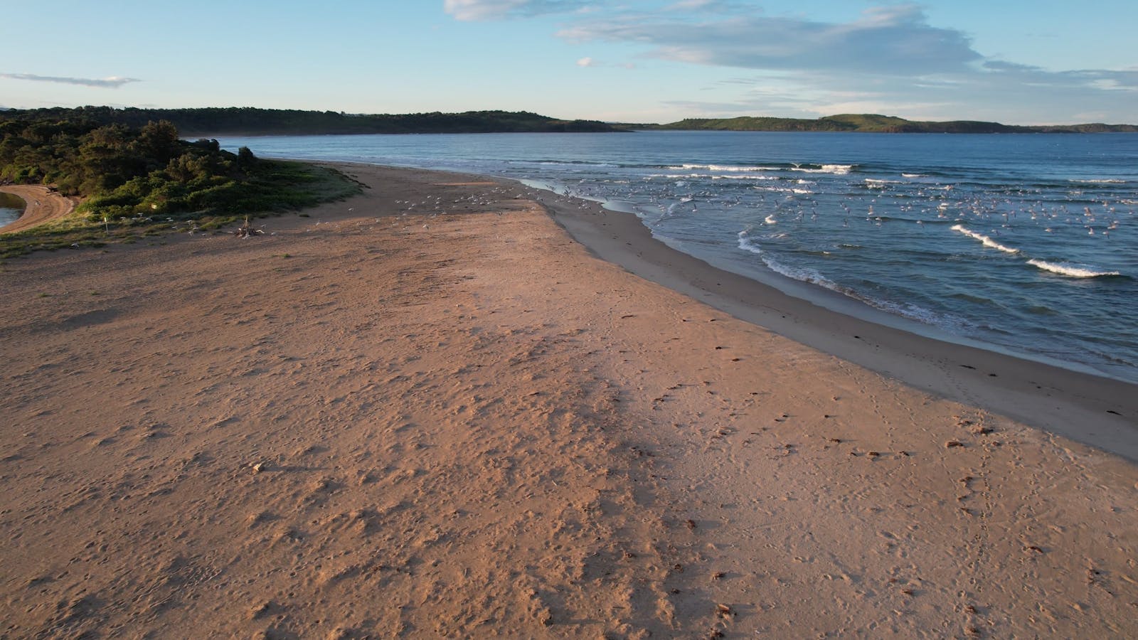 Beach Animation Videos, Download The BEST Free 4k Stock Video Footage ...