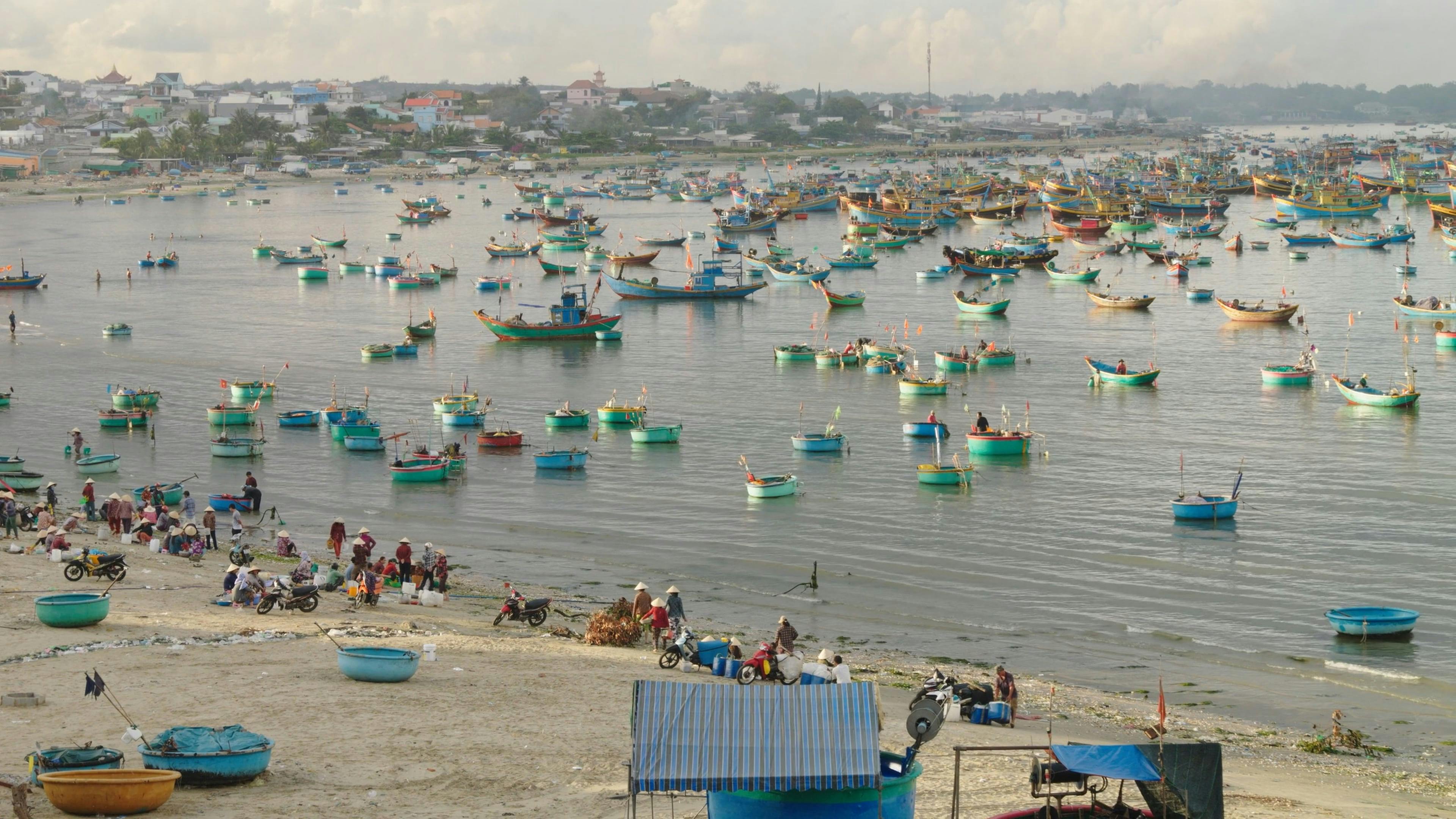 Colorful Fishing Boats Anchored near the Shore Free Stock Video Footage ...