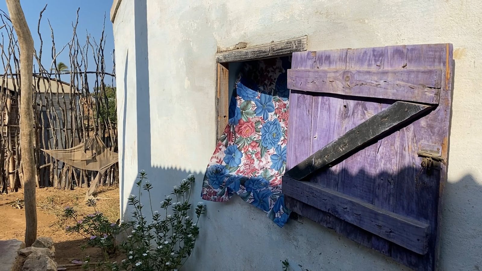 Madagascar Videos, Download The BEST Free 4k Stock Video Footage ...