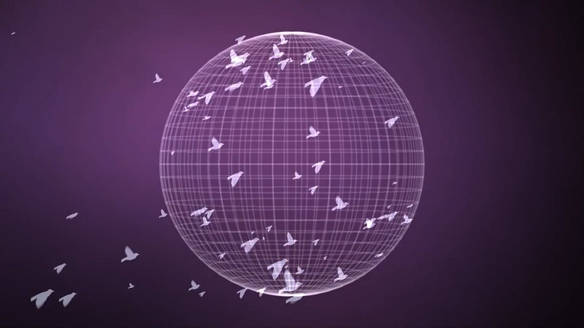 Flight Animation Videos, Download The BEST Free 4k Stock Video Footage ...