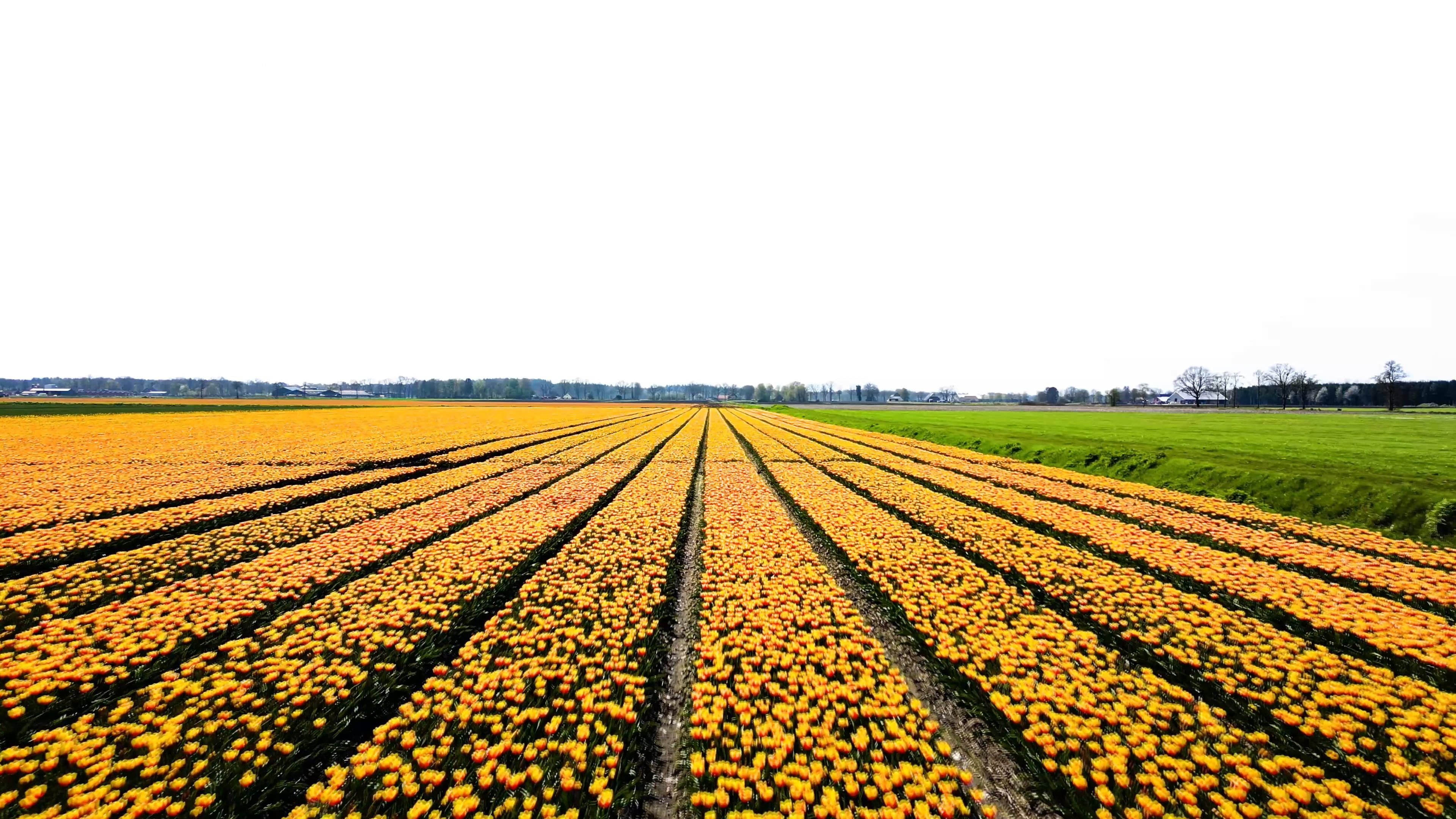 Line Of Crops Videos, Download The BEST Free 4k Stock Video Footage ...