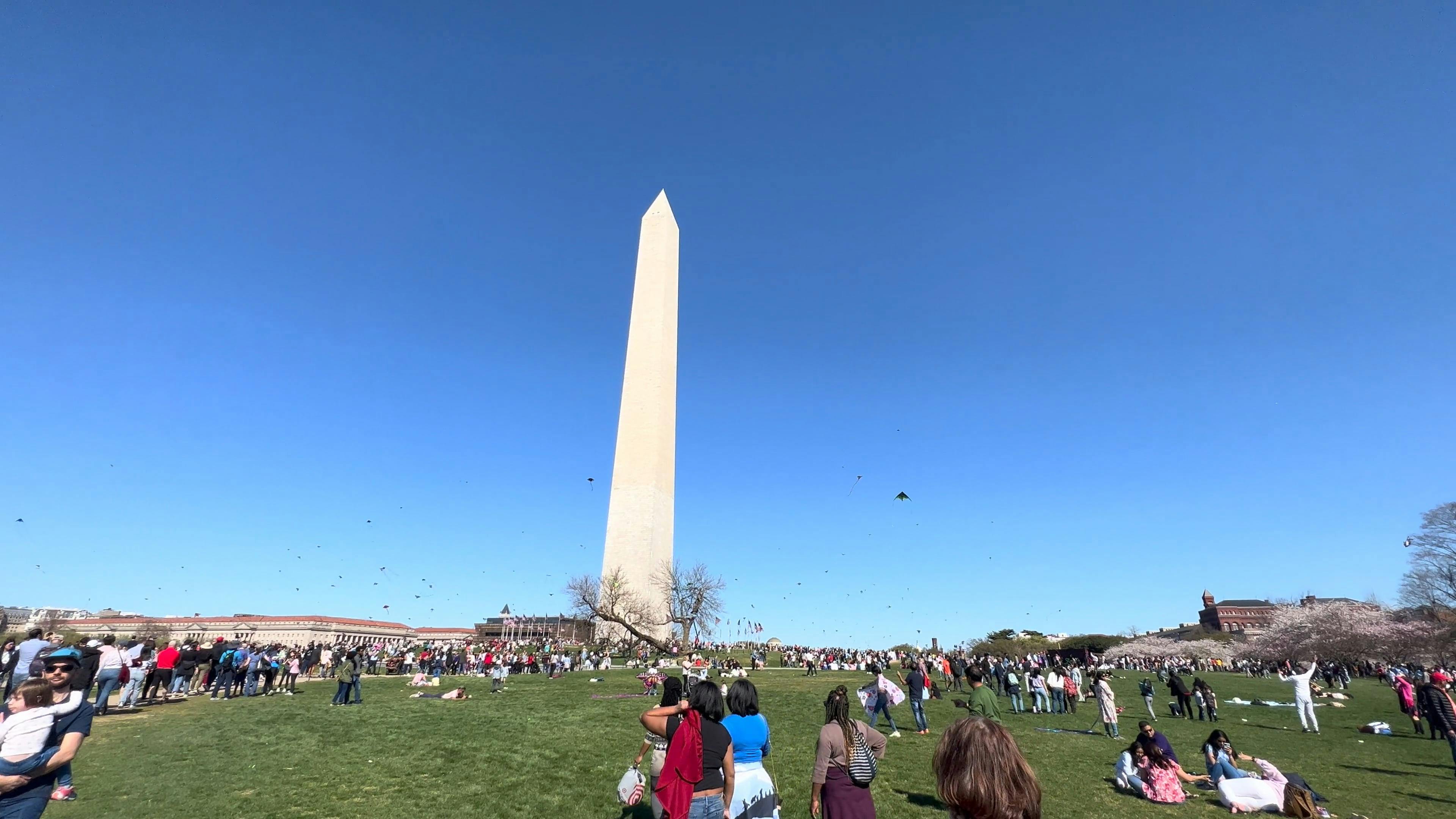 yanjun xu - Photography