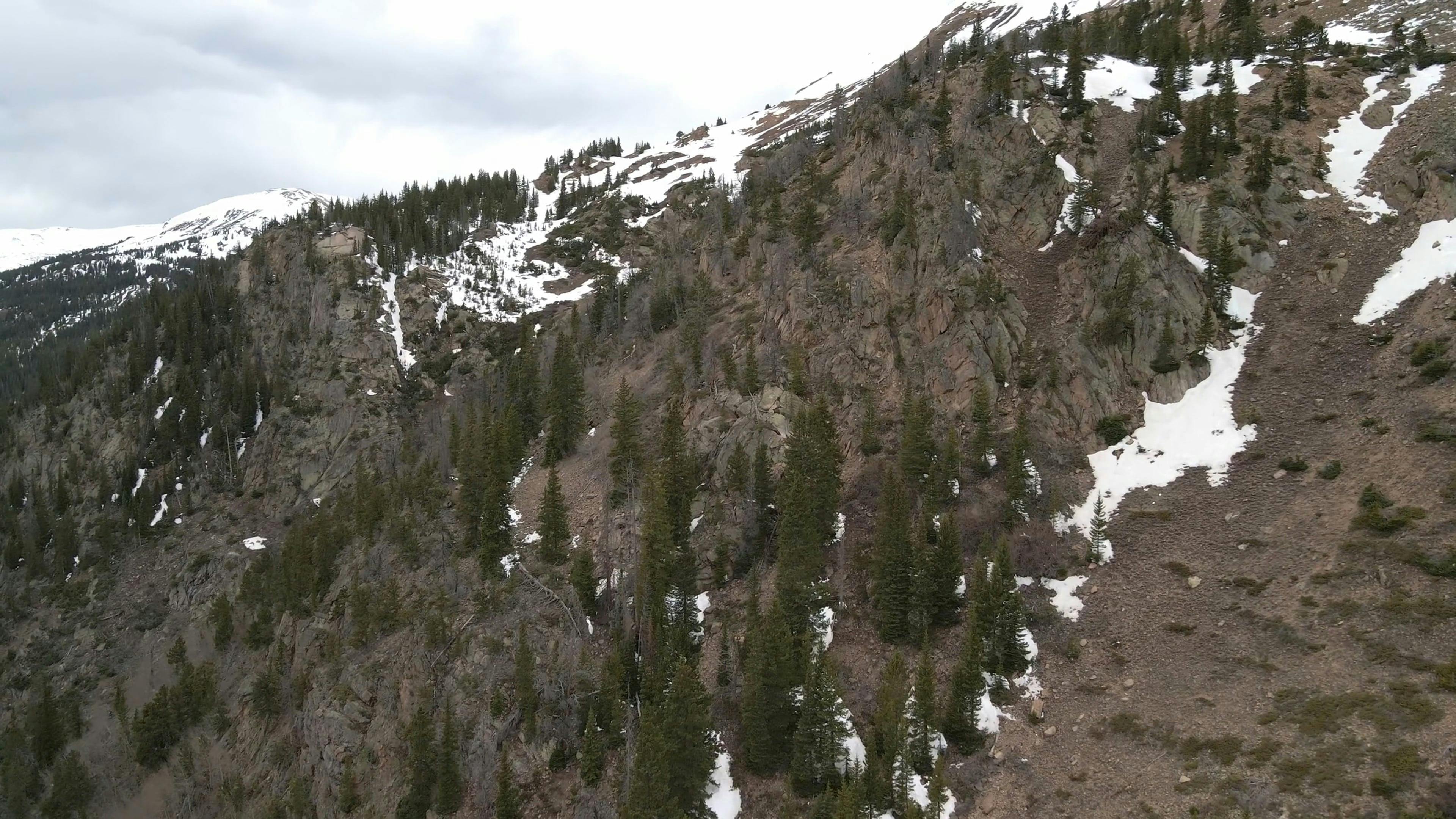 Drone Footage of Forest Trees on a Snowy Mountain Free Stock Video ...