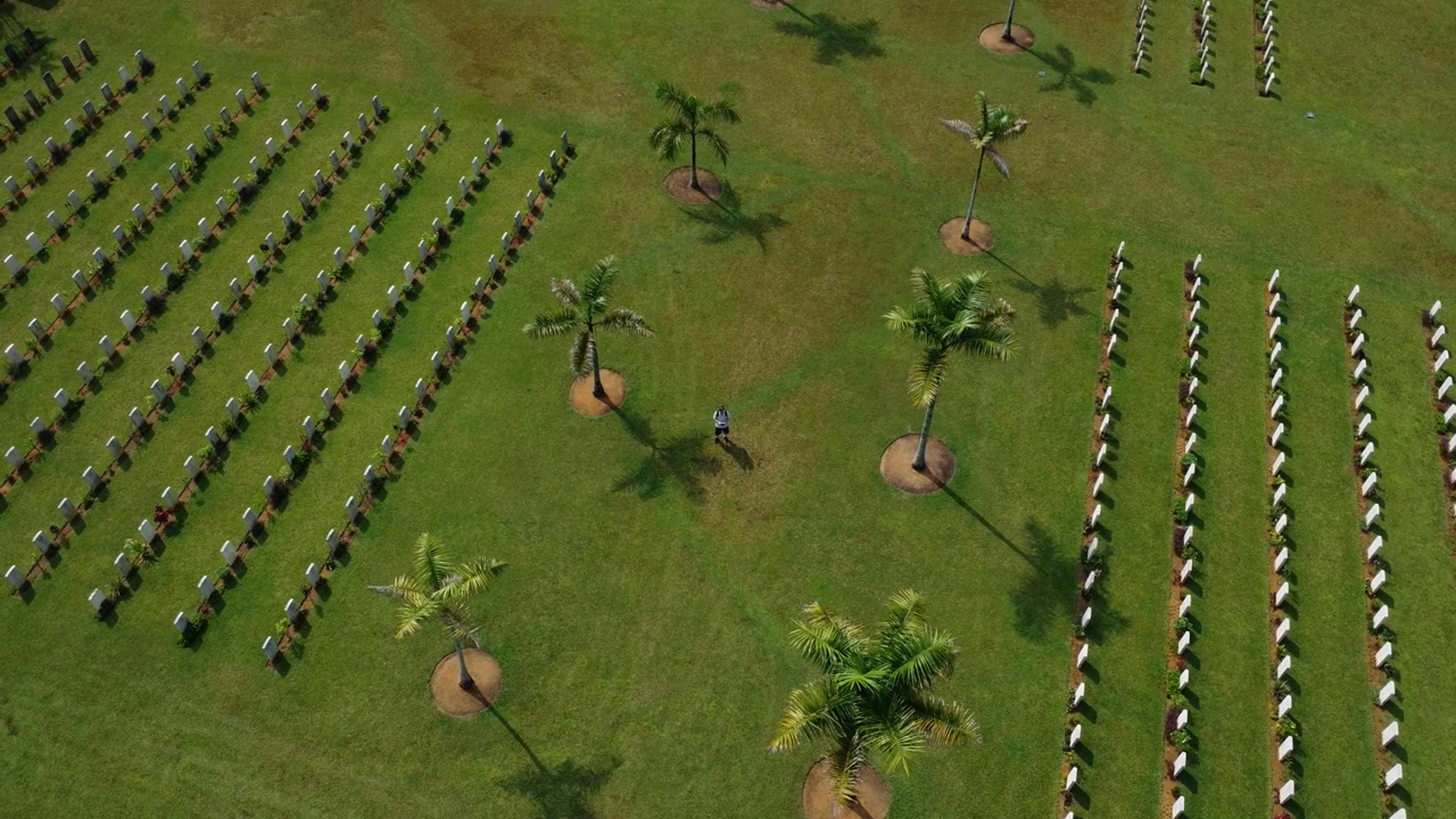 Navy Tree Videos, Download The BEST Free 4k Stock Video Footage & Navy ...