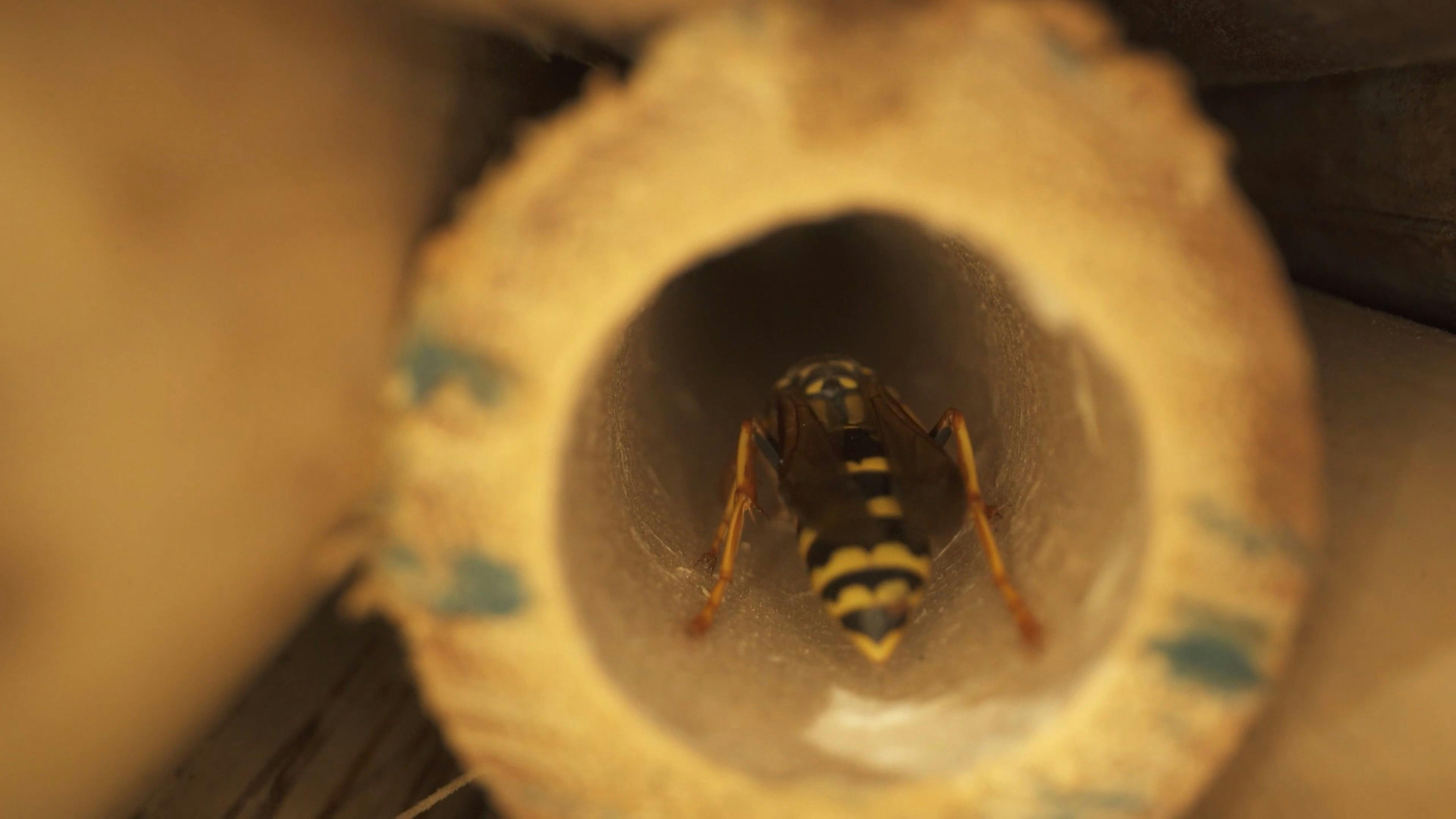 Shelter Tube Videos, Download The BEST Free 4k Stock Video Footage ...