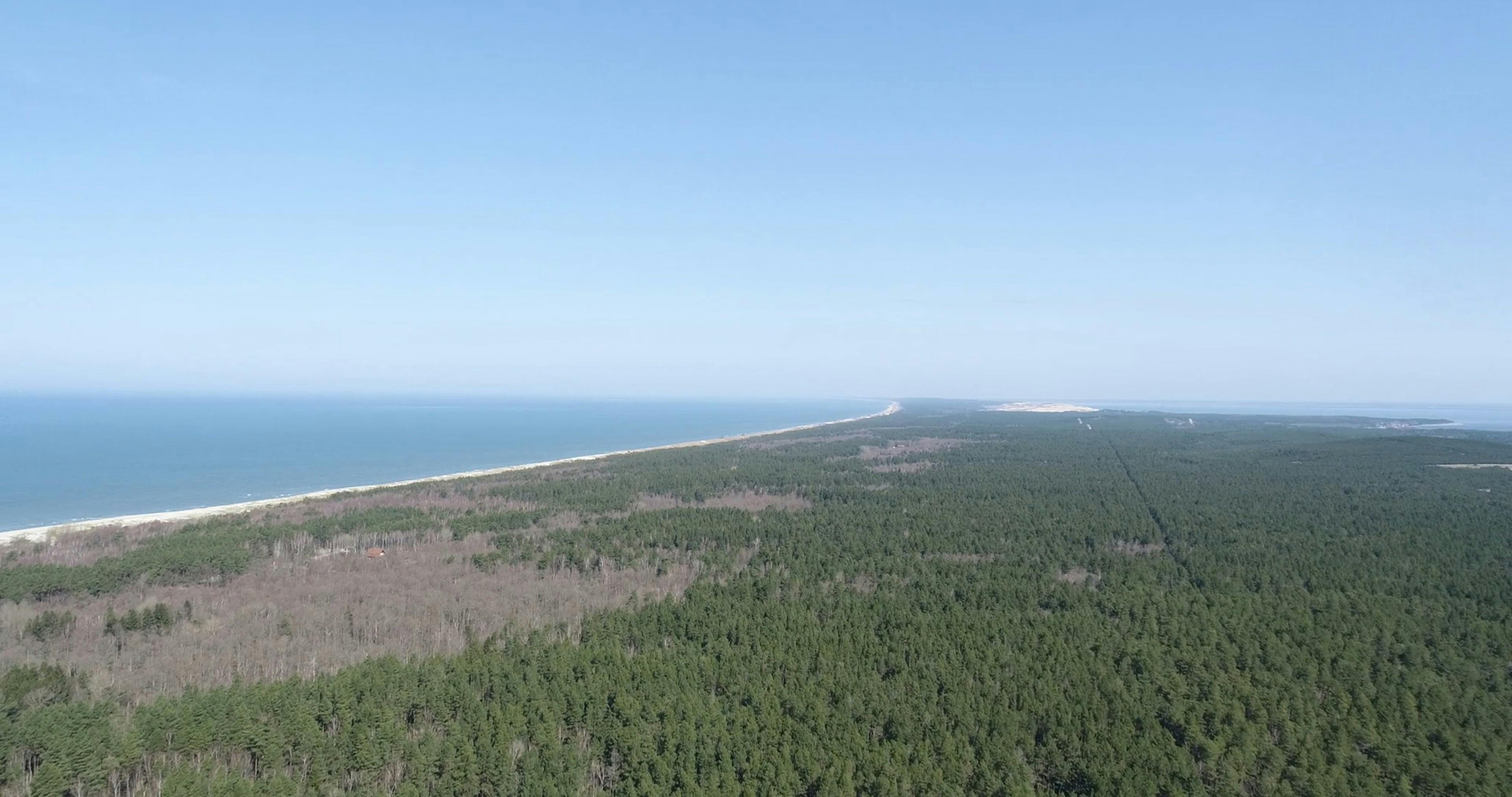 sea and forest Free Stock Video Footage, Royalty-Free 4K & HD Video Clip