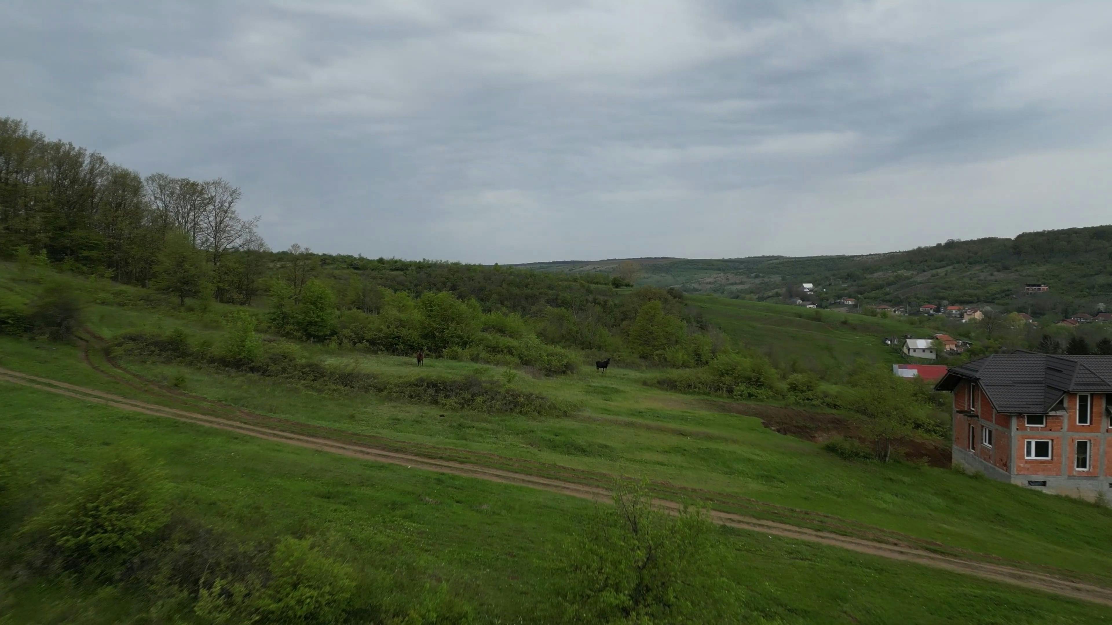 4k Wallpaperkanha Videos, Download The BEST Free 4k Stock Video Footage ...