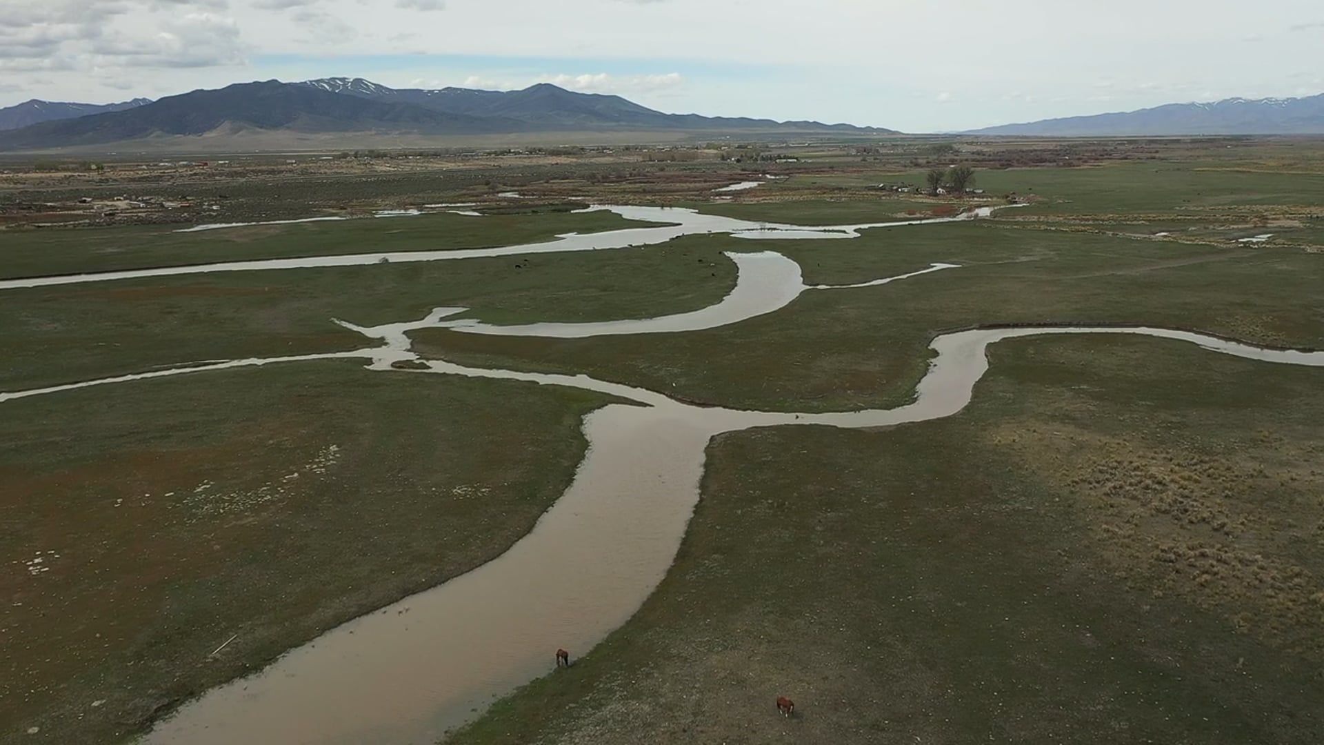 Flood River Bank Videos, Download The BEST Free 4k Stock Video Footage ...