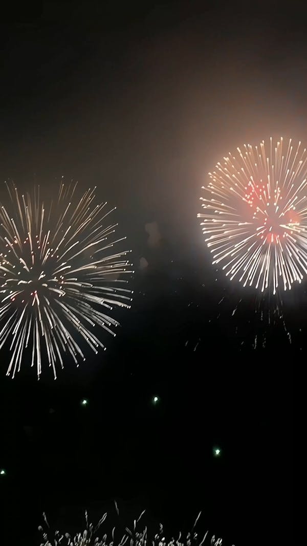 4k Fireworks Videos, Download The BEST Free 4k Stock Video Footage & 4k ...