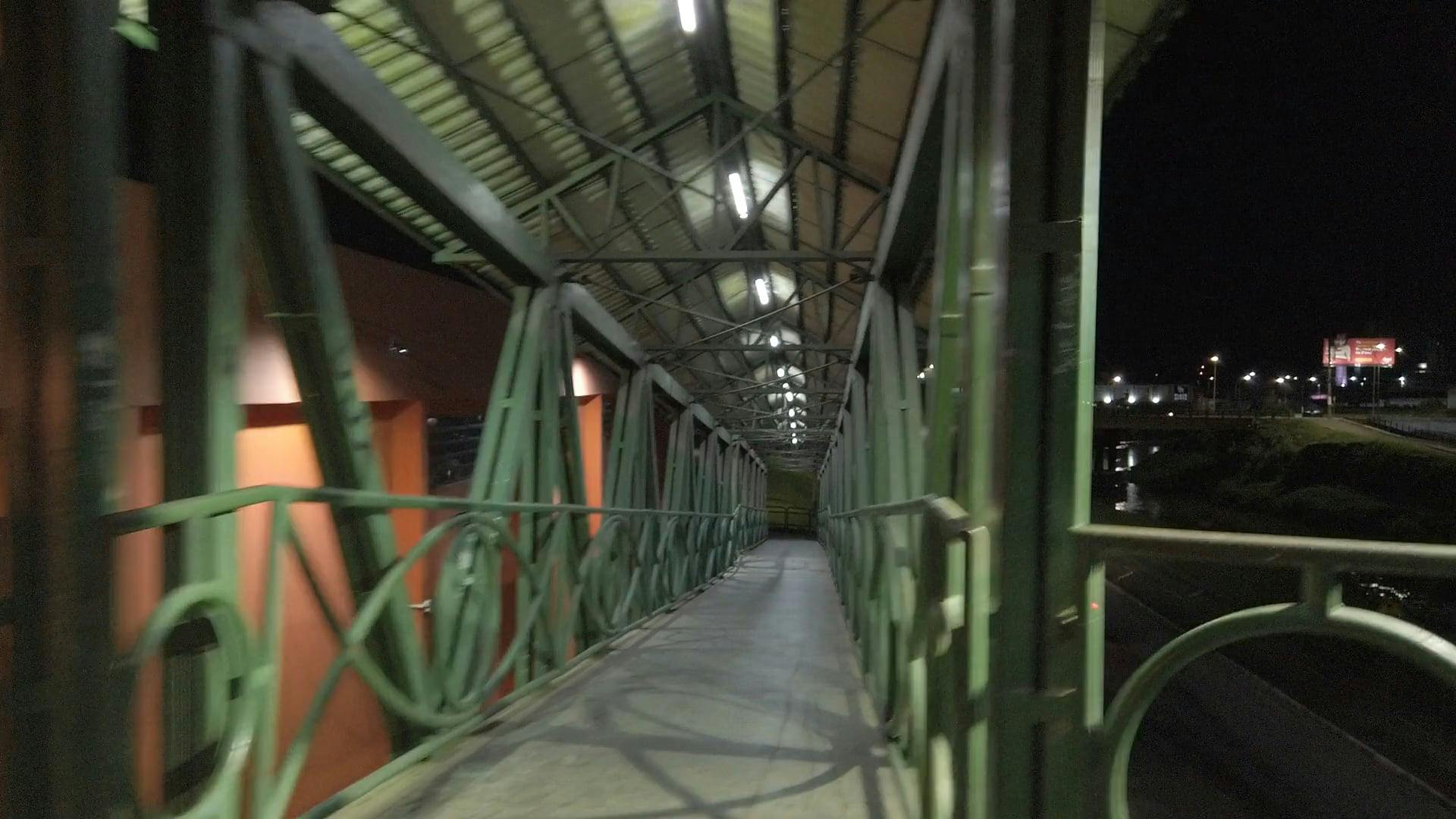 Free Stock Video Footage, Royalty-Free 4K & HD Video Clip