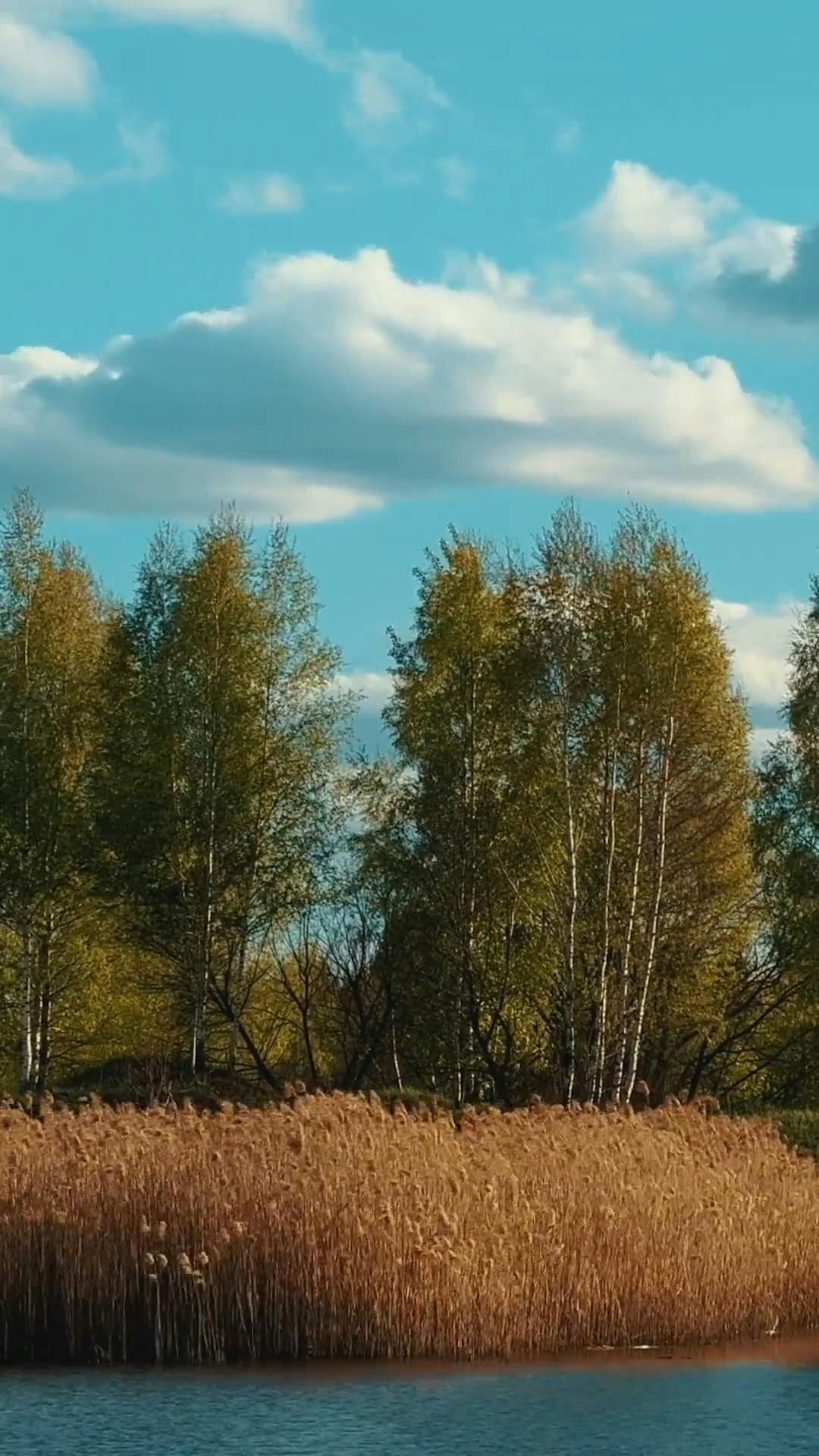 Time Lapse of Moving Clouds over a Body of Water Free Stock Video ...