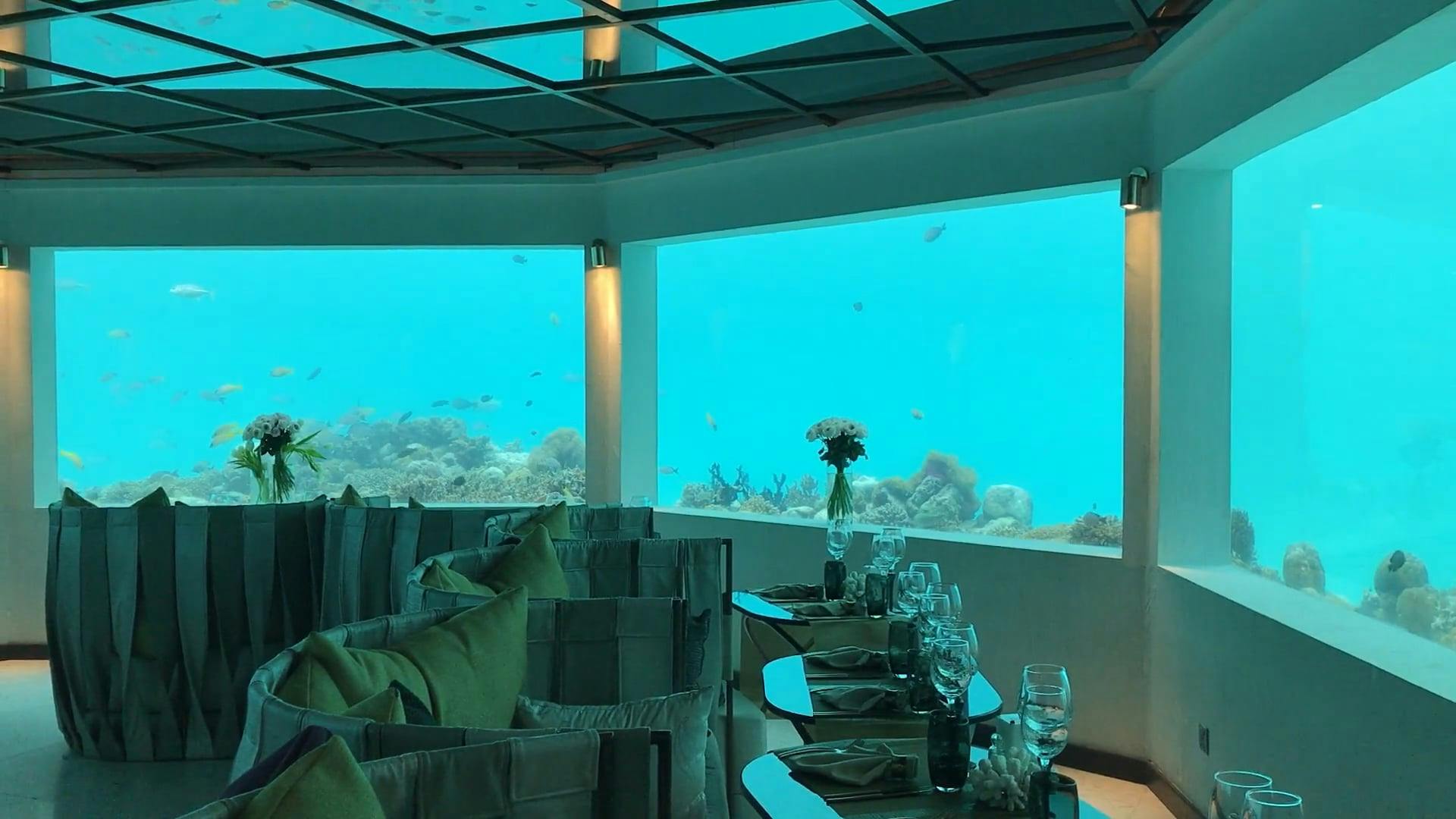 An Underwater Restaurant · Free Stock Video