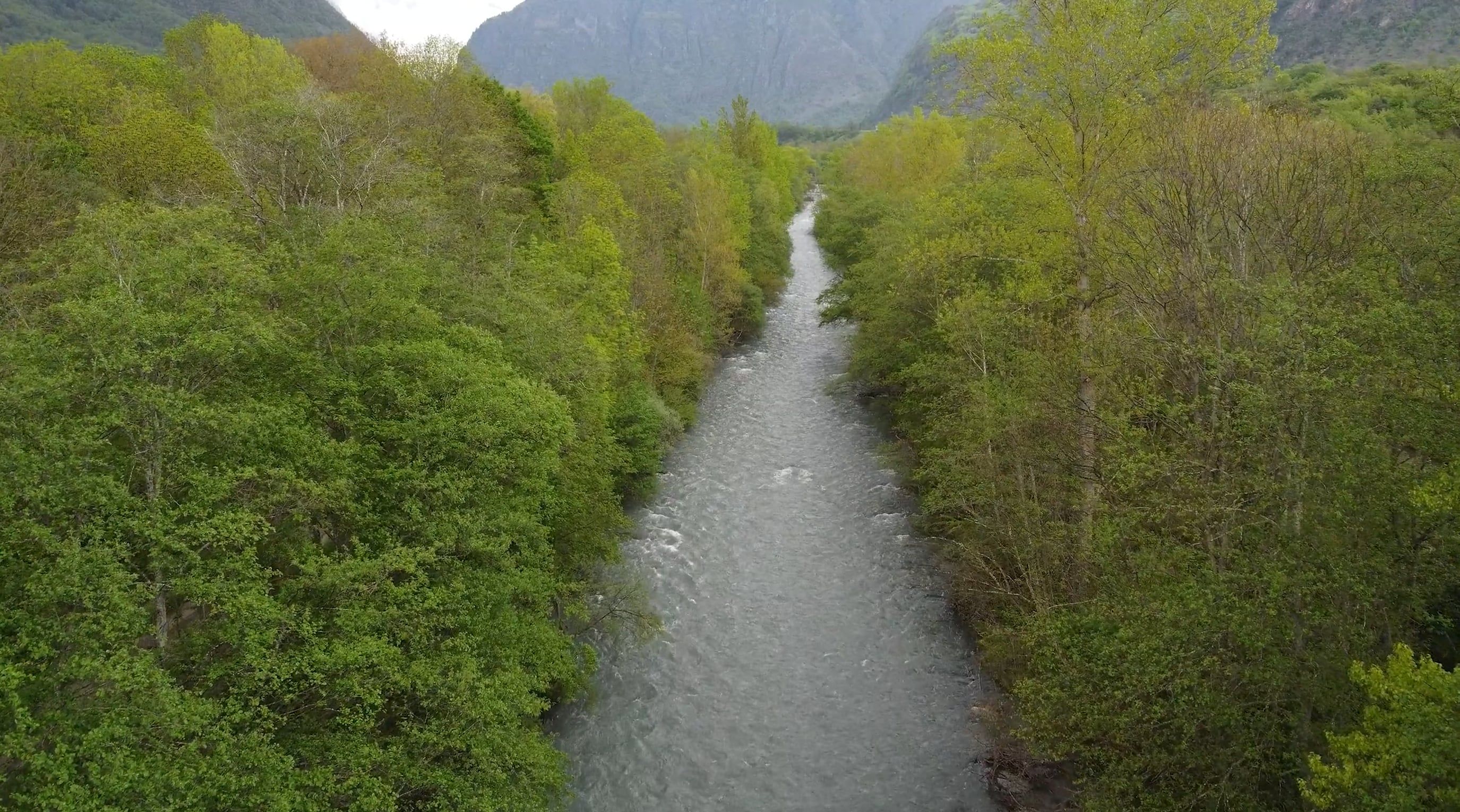 drone video of a stream surrounded by trees, in the mountains, rough ...