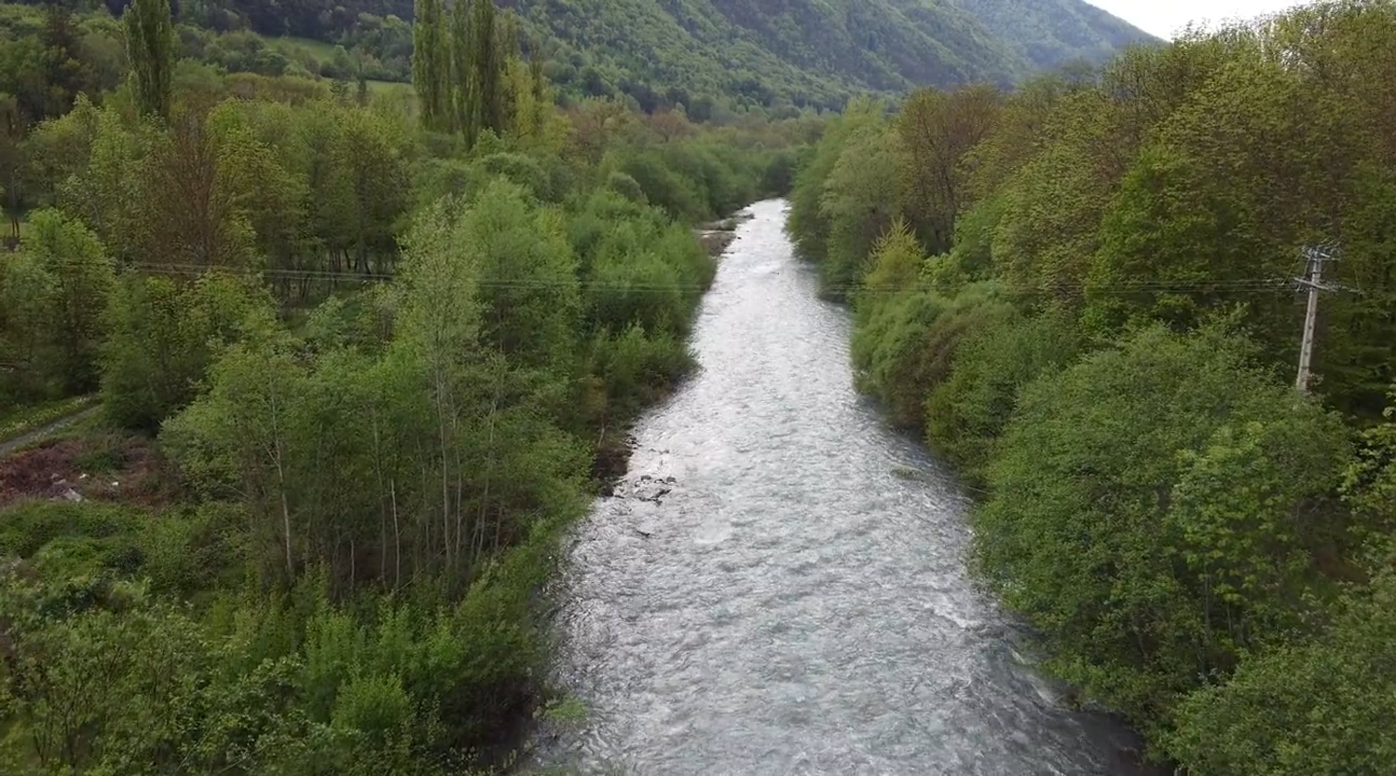 drone video of a stream surrounded by trees, in the mountains, rough ...