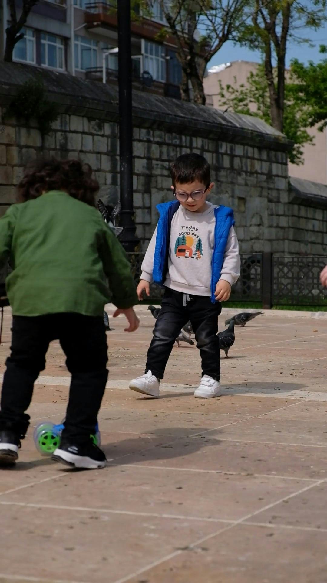 Bird Team Videos, Download The BEST Free 4k Stock Video Footage & Bird ...