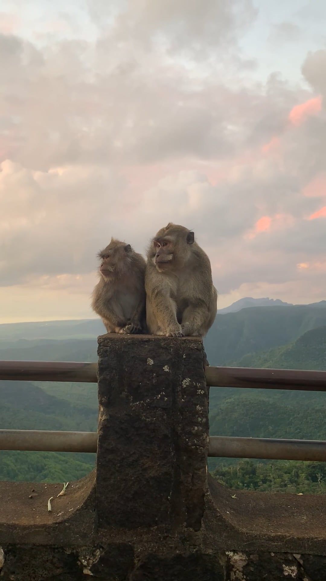 Two monkeys sitting on top of a railing overlooking the mountains Free ...