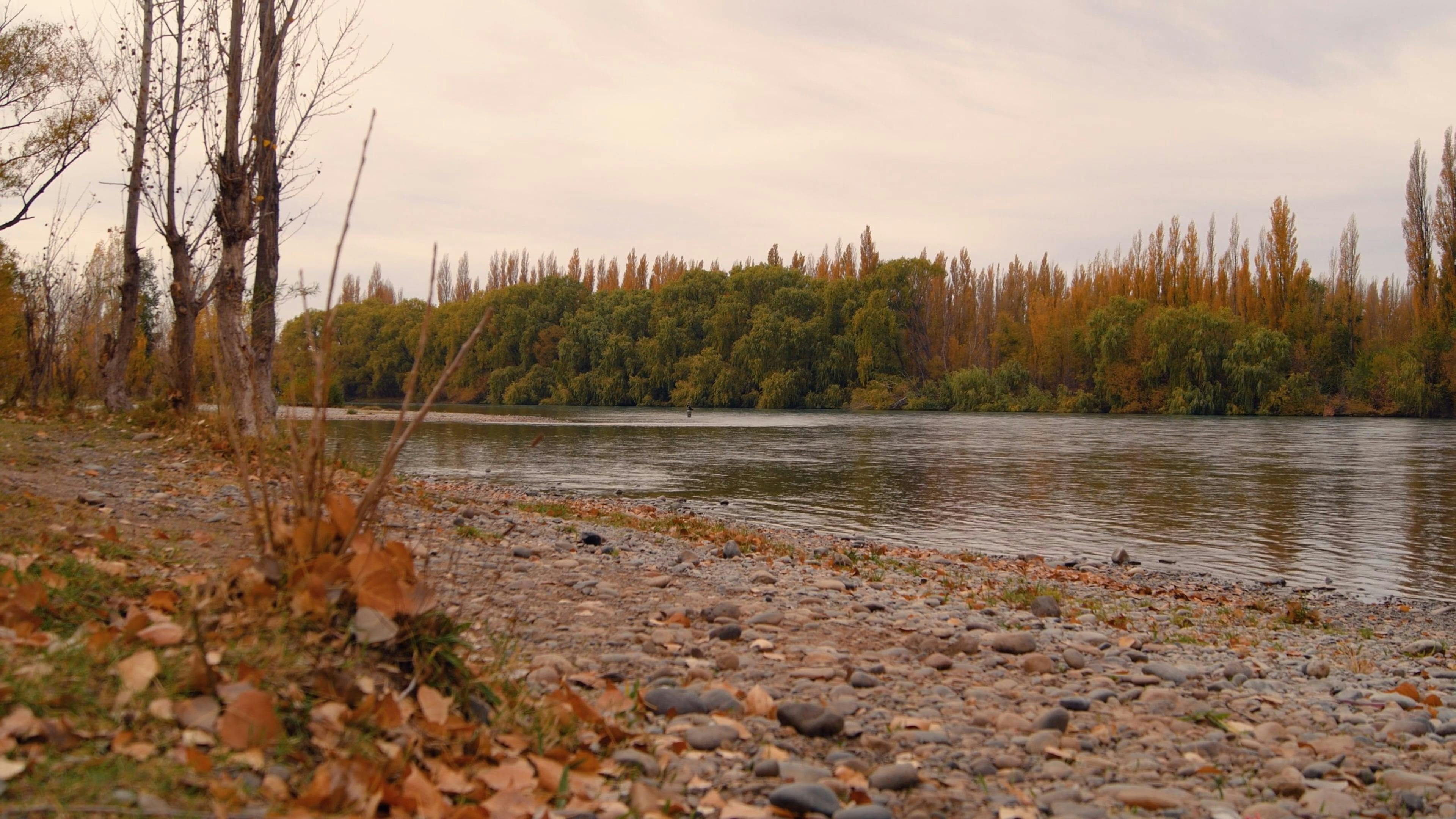 Man In Straight Jacket Videos, Download The BEST Free 4k Stock Video ...