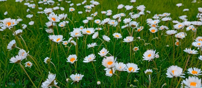 Royalty Free Videos Videos, Download The BEST Free 4k Stock Video ...