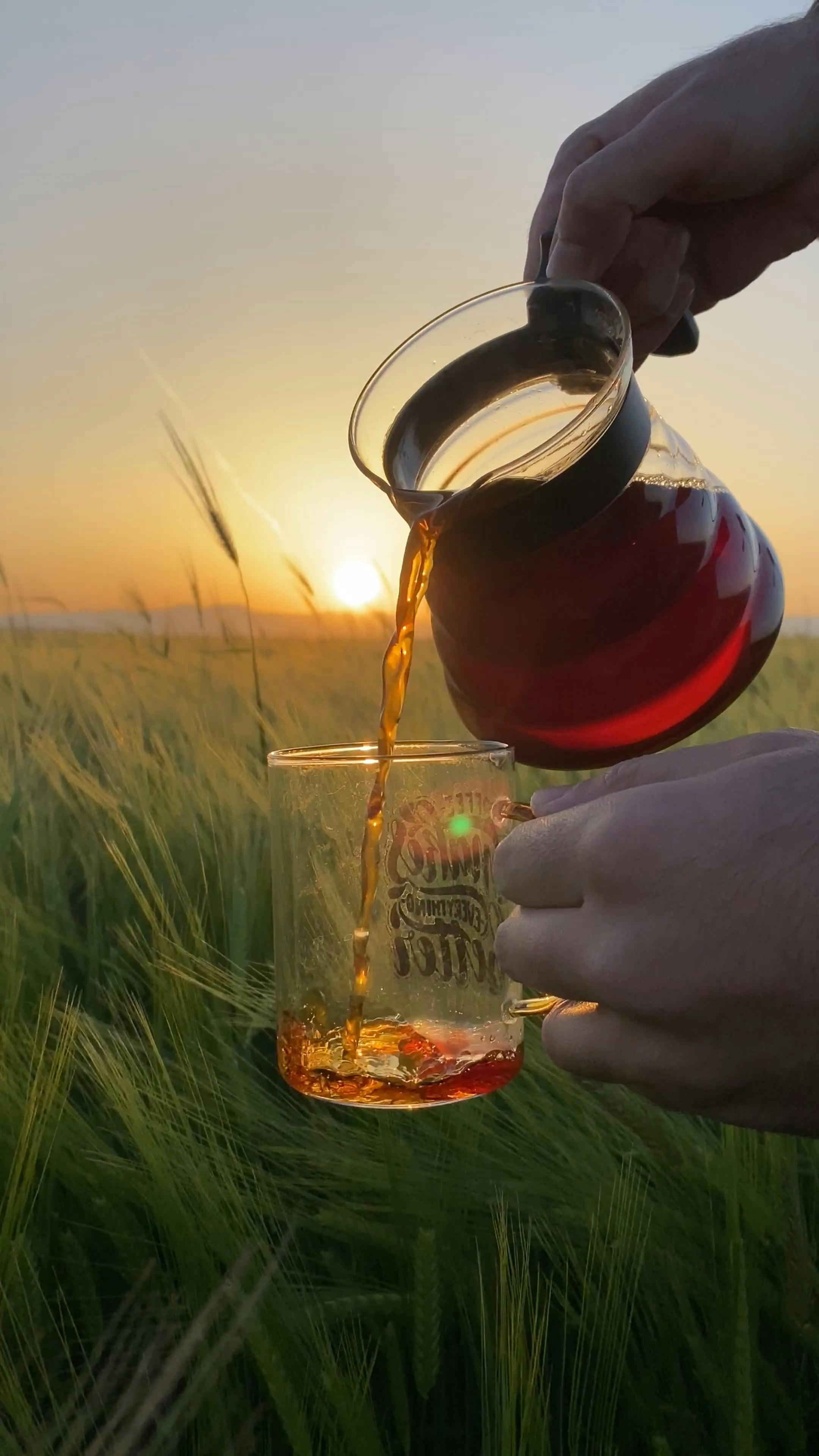 A person pouring tea into a cup in a field Free Stock Video Footage ...
