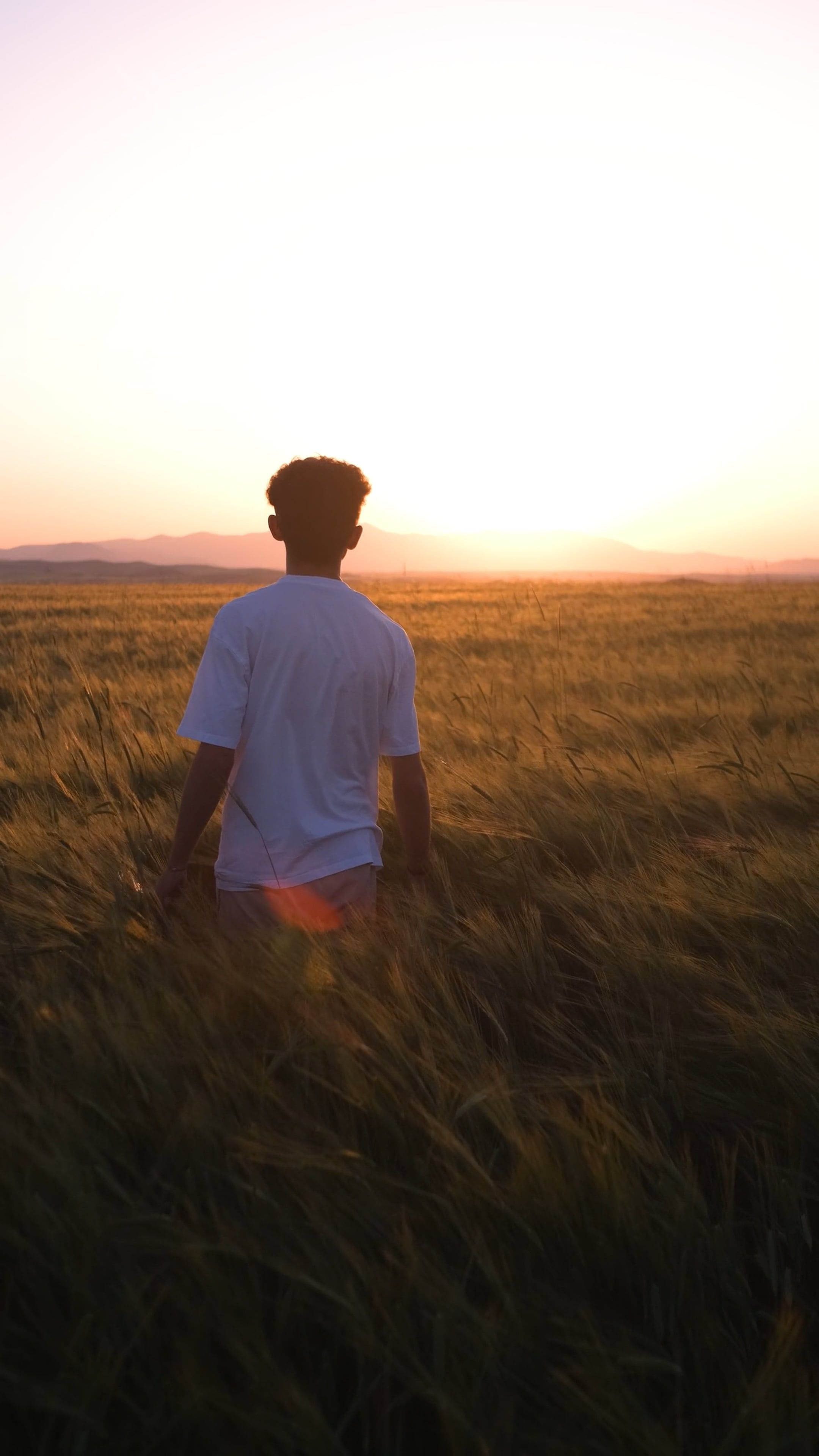 A man sitting in a field at sunset Free Stock Video Footage, Royalty ...