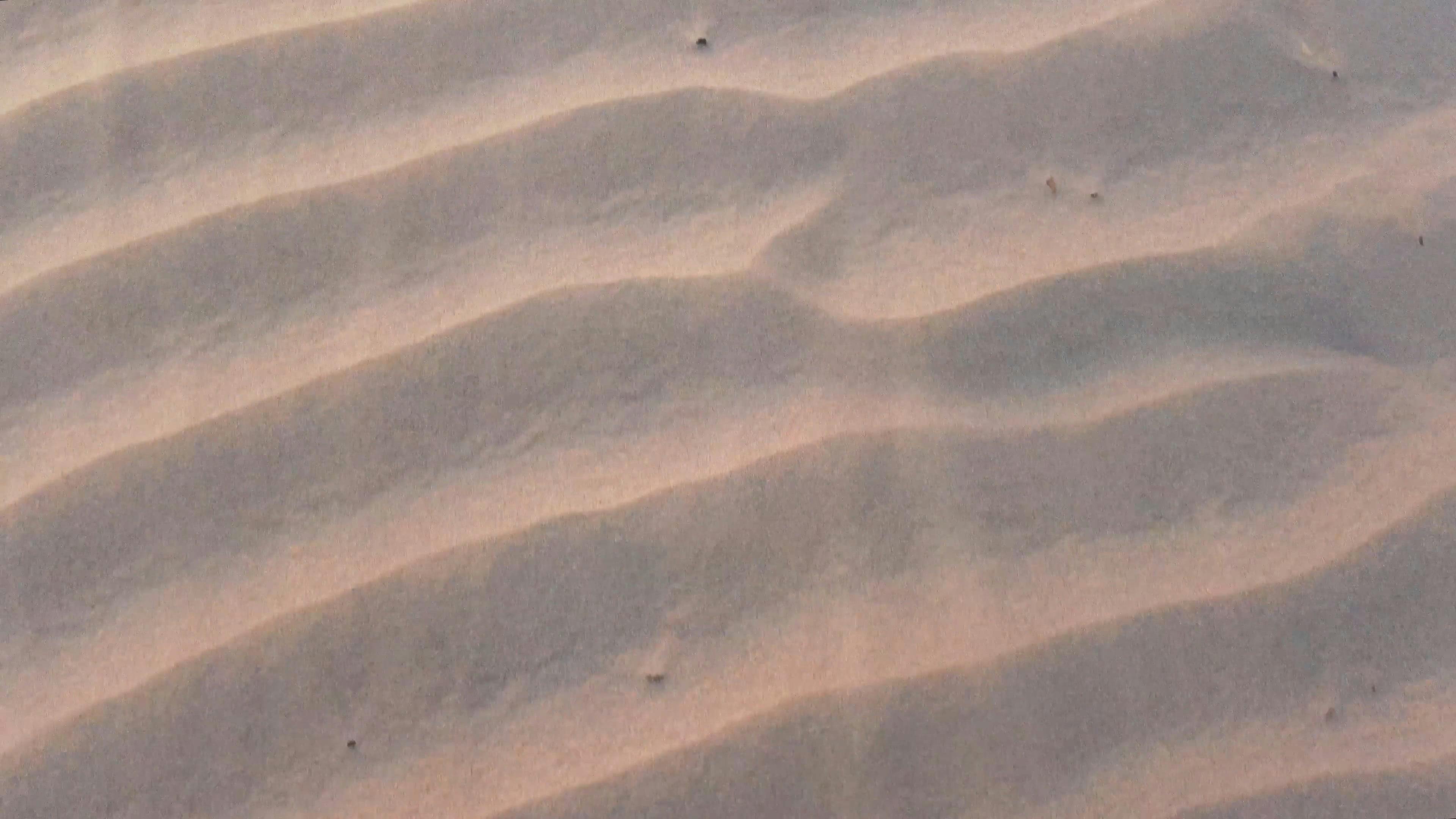 Windy Sand Dunes at Sunrise Free Stock Video Footage, Royalty-Free 4K ...