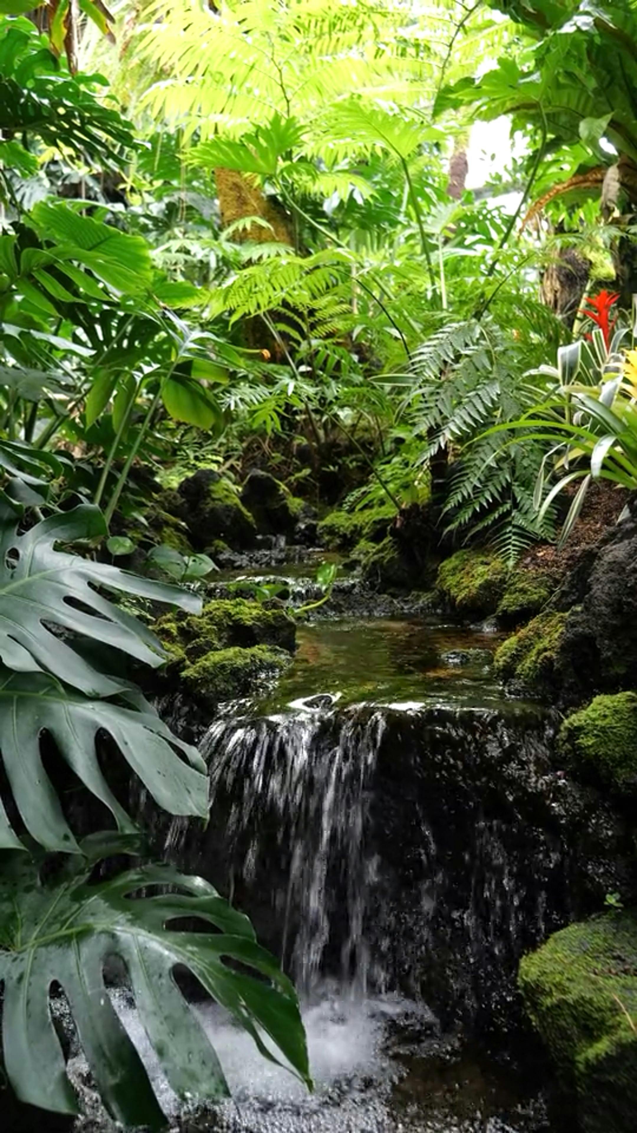 Relaxing sound of running water Free Stock Video Footage, Royalty-Free ...