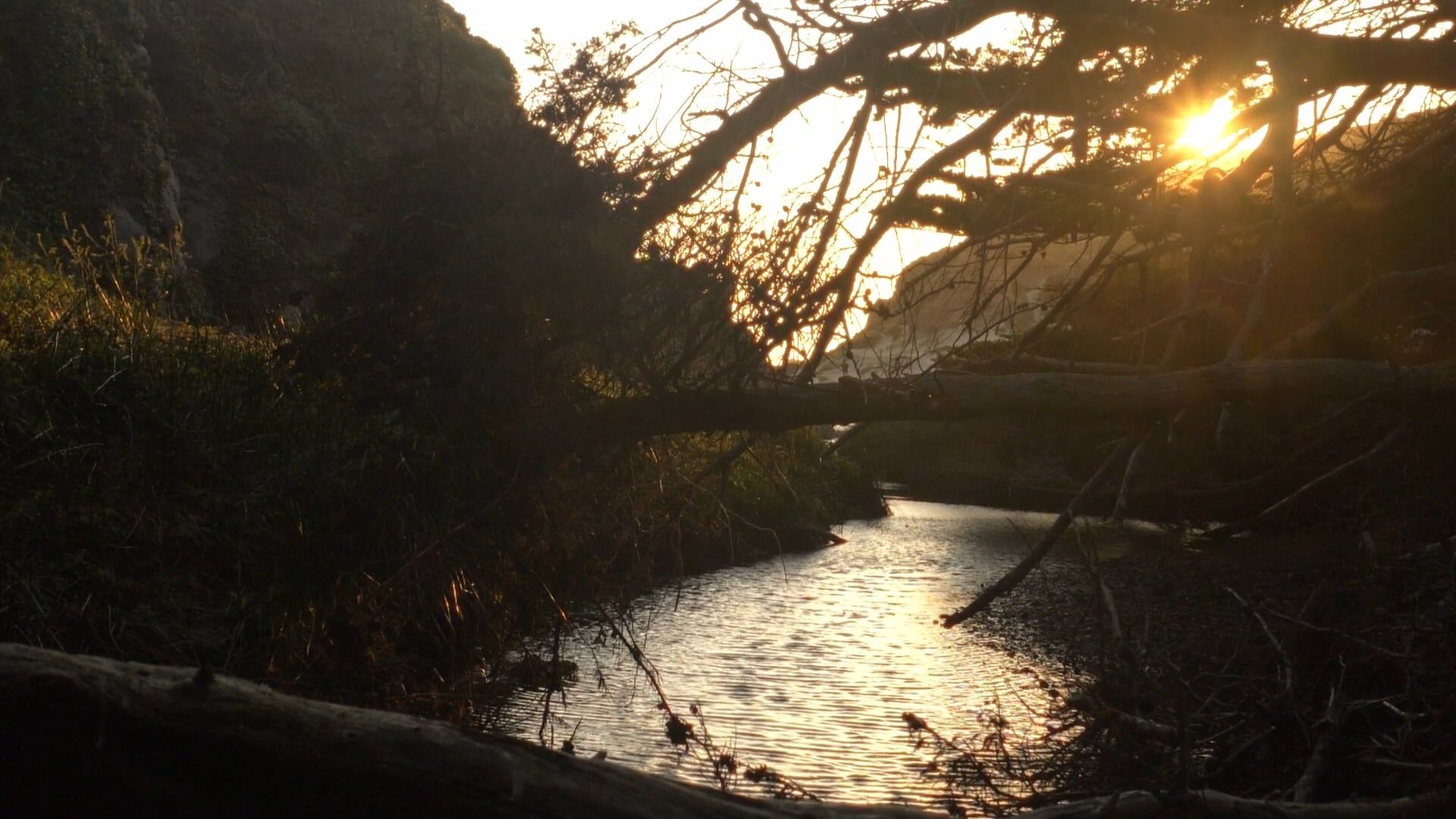 Big Sur Beach Area 2 Free Stock Video Footage, Royalty-Free 4K & HD ...