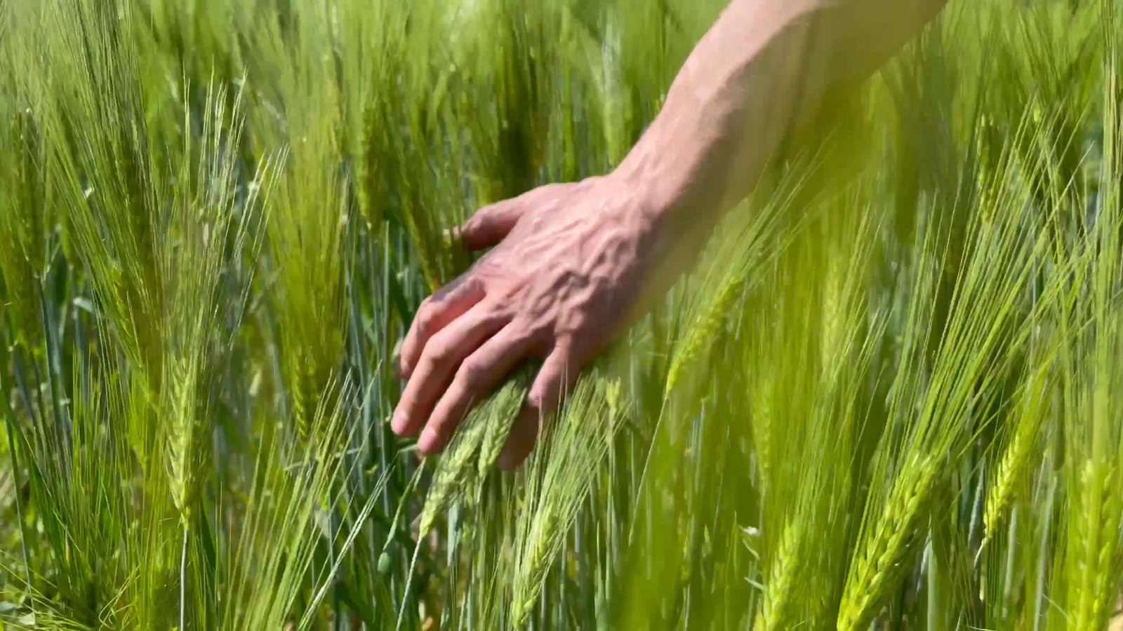 Gladiator Videos, Download The BEST Free 4k Stock Video Footage ...