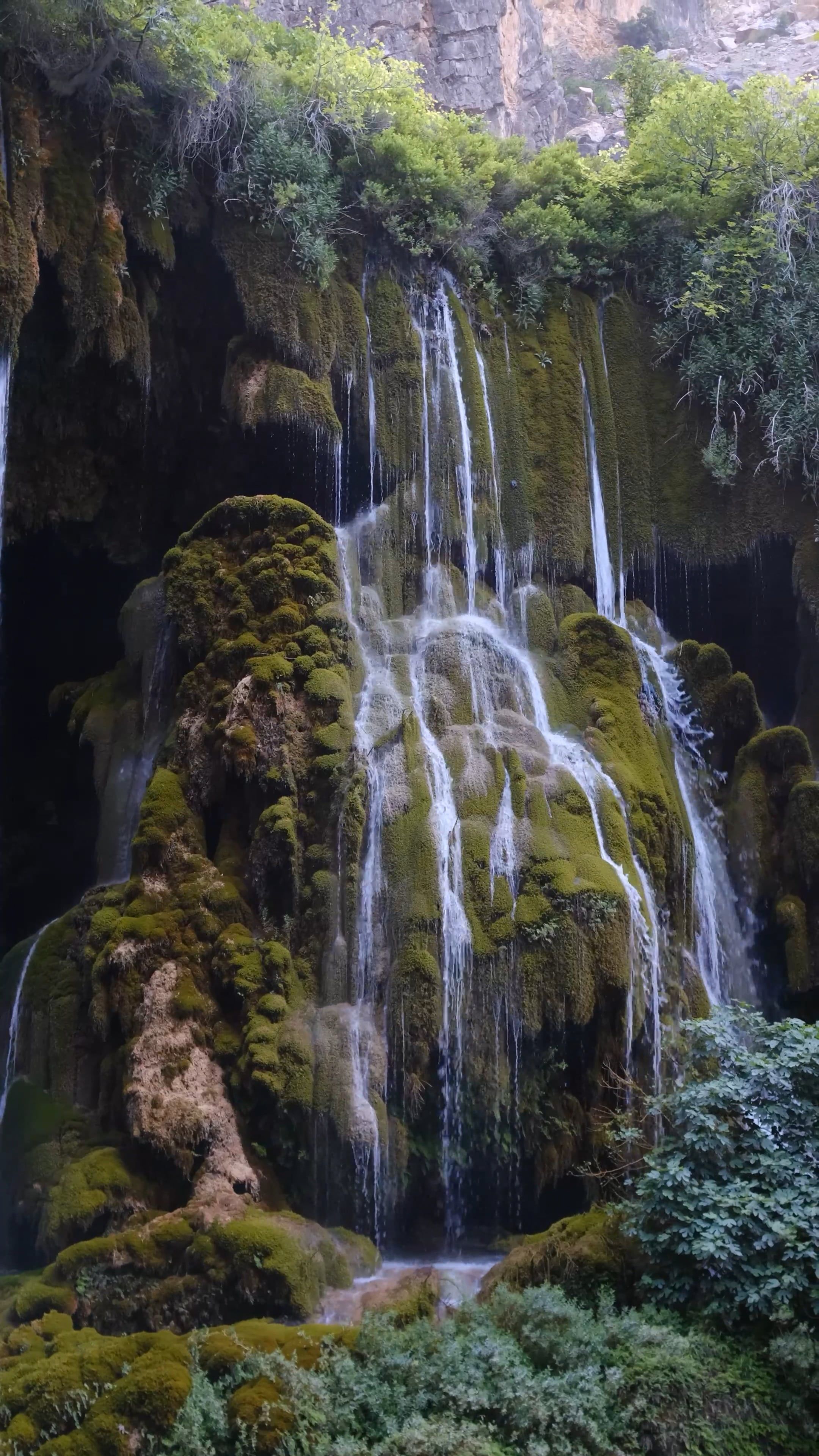 A waterfall in the middle of a forest Free Stock Video Footage, Royalty ...