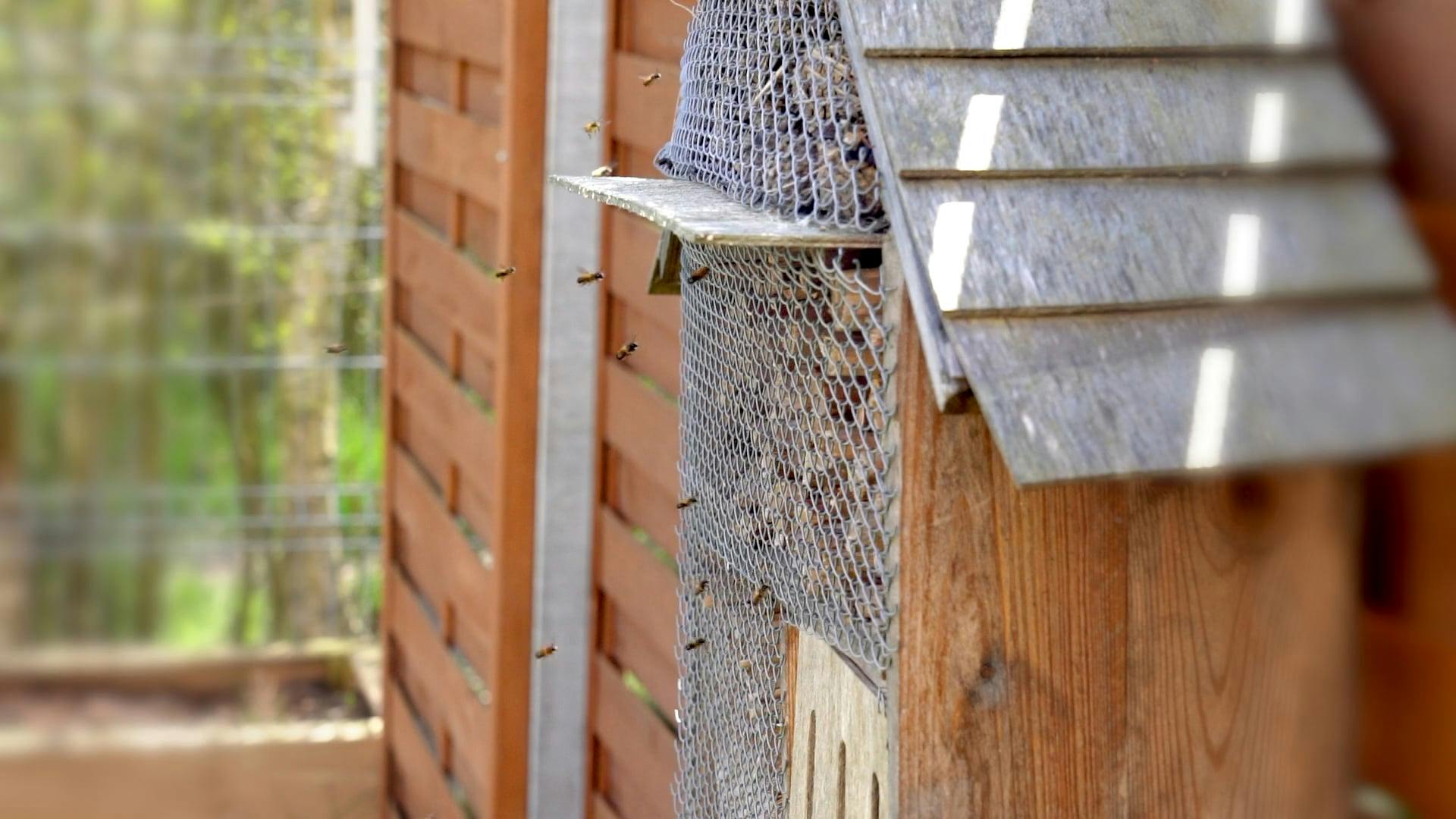 Hd Background Home Background Videos, Download The BEST Free 4k Stock ...