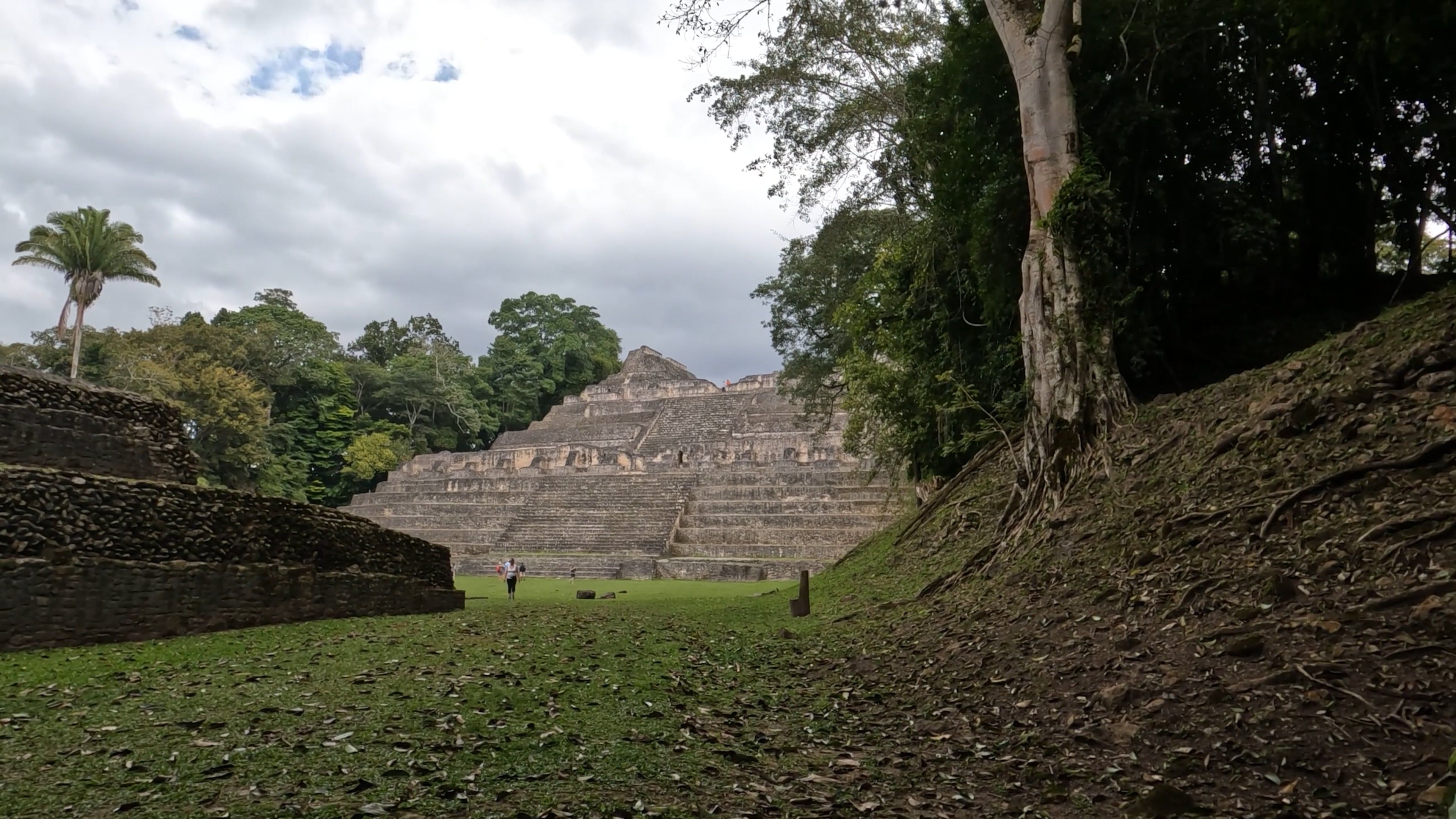 Ancient Mayan Pyramid in the Jungle Free Stock Video Footage, Royalty ...