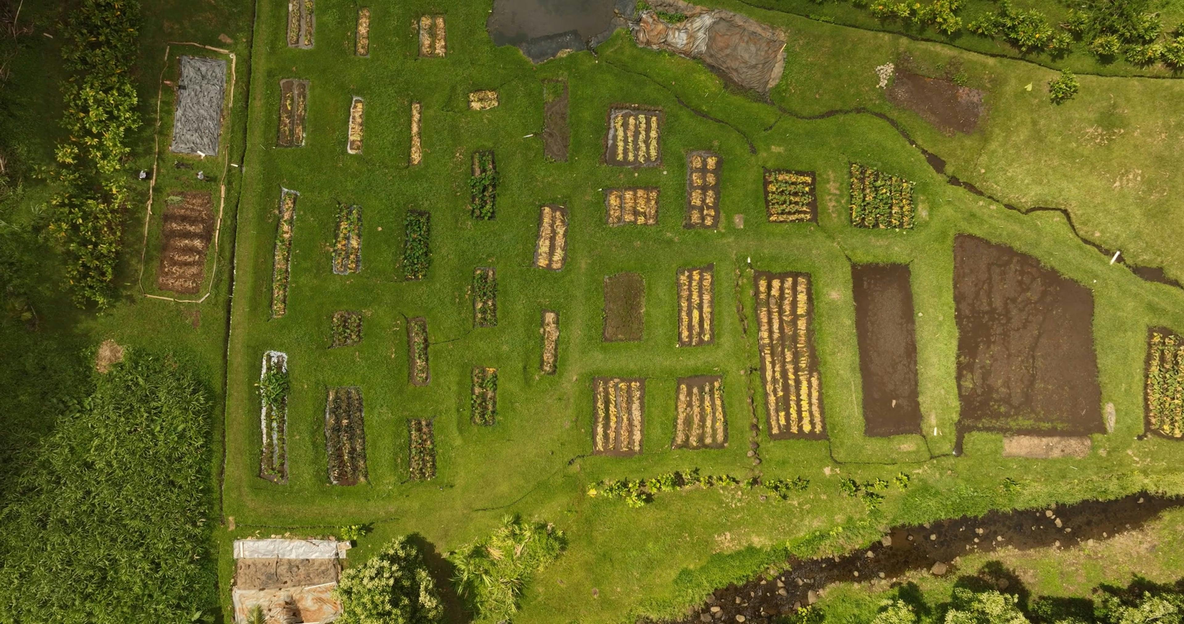 Haiku farm Free Stock Video Footage, Royalty-Free 4K & HD Video Clip