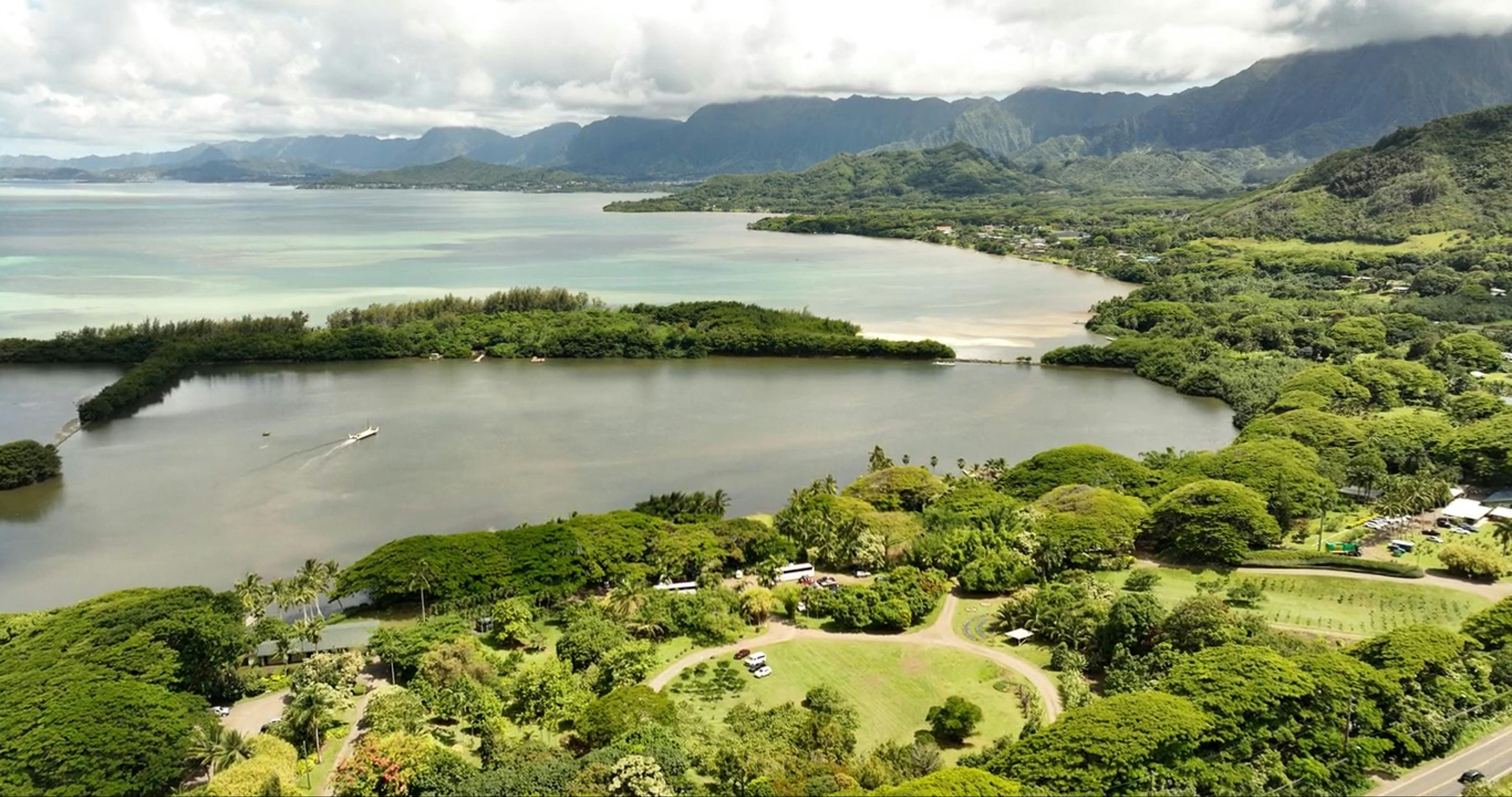 Kualoa ranch Free Stock Video Footage, Royalty-Free 4K & HD Video Clip