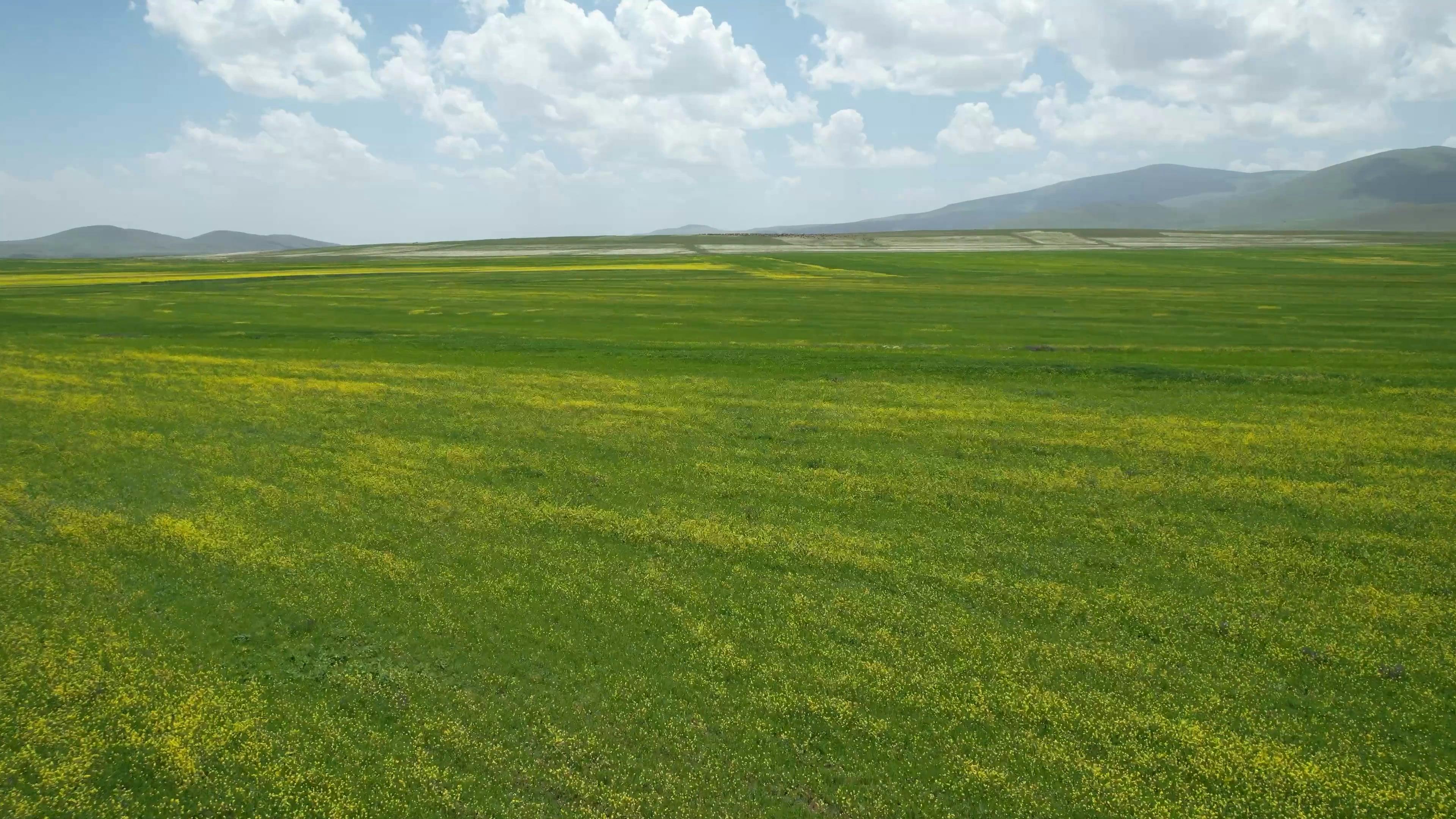 Vidéo gratuite de 4k, à distance, aérien, agriculture, blé, brillant ...