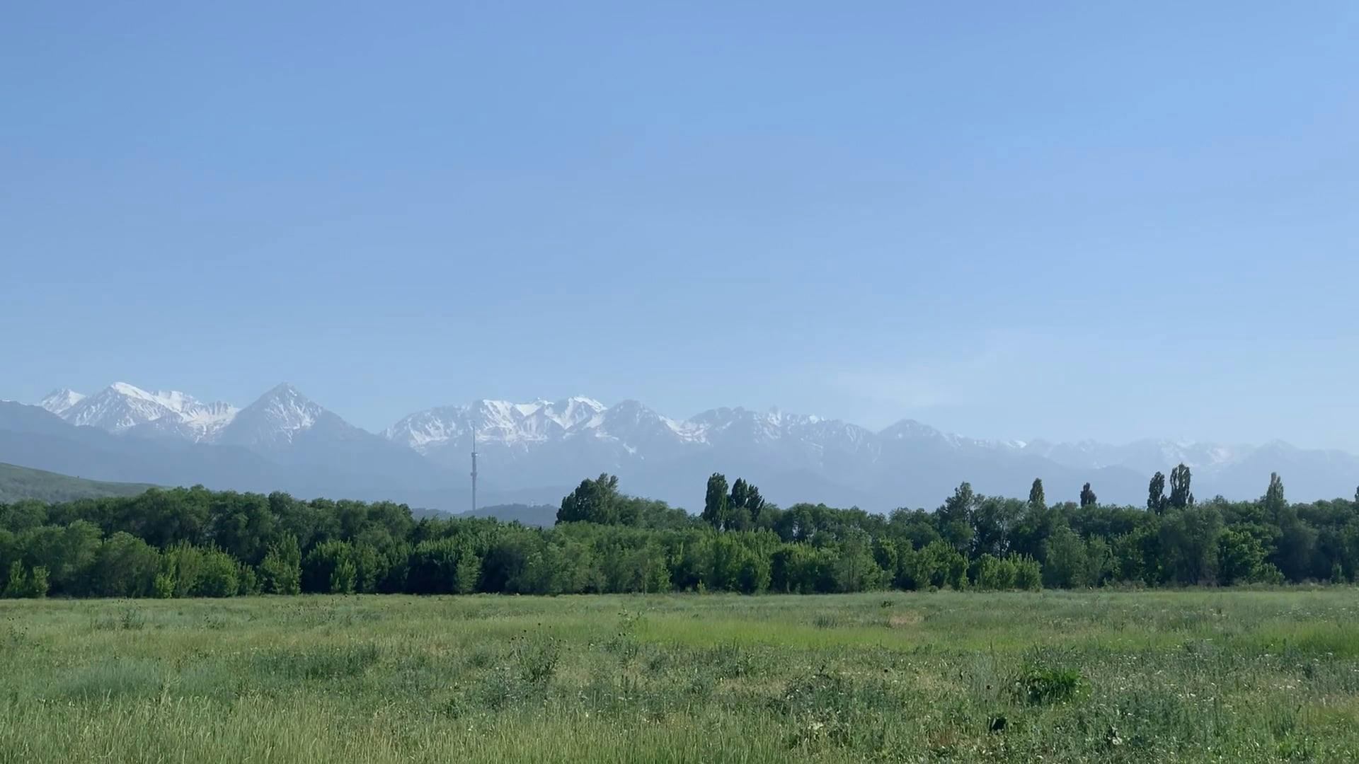 Grigoriy Bunkov - 摄影