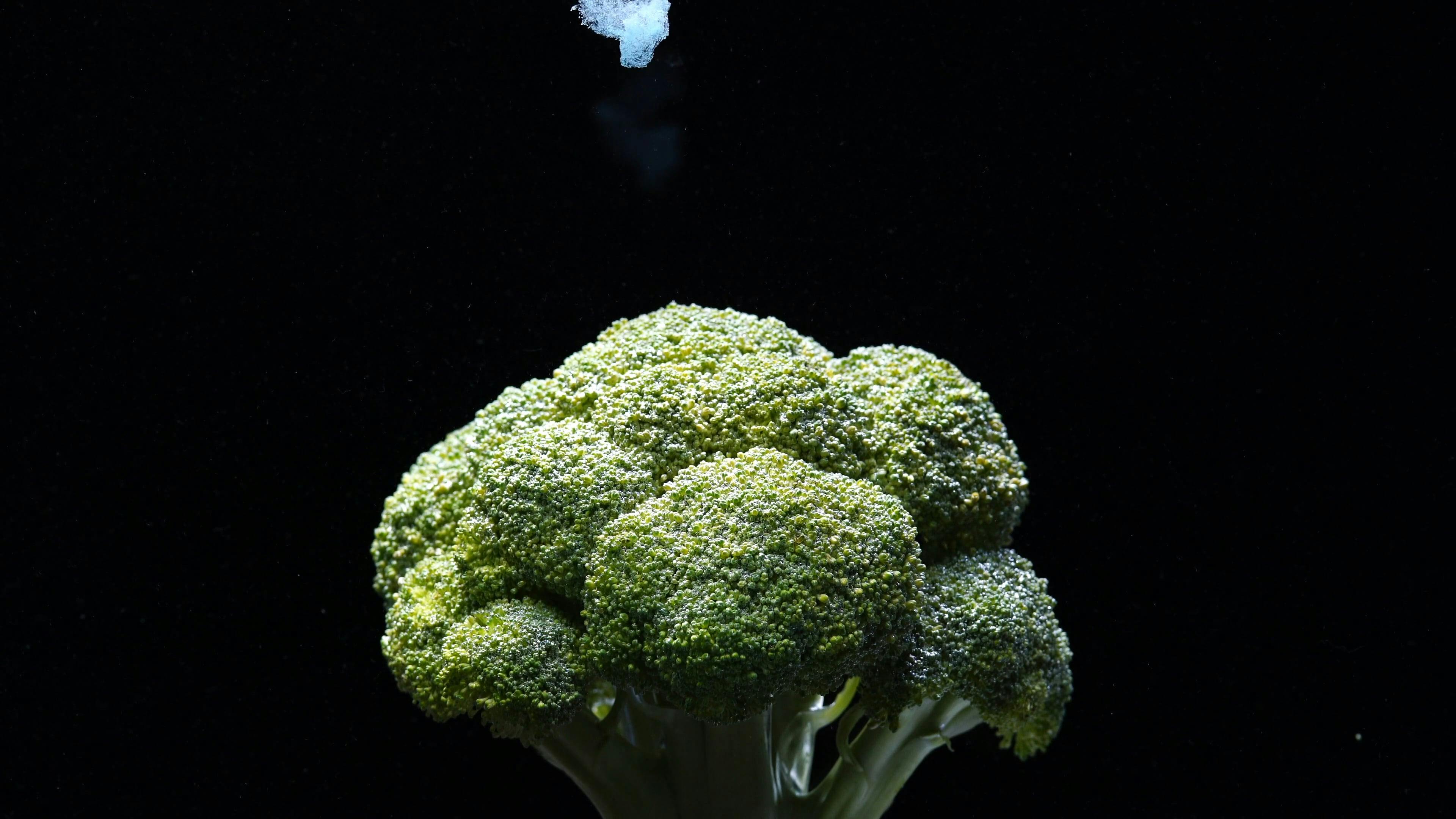 Broccoli Videos, Download The BEST Free 4k Stock Video Footage ...