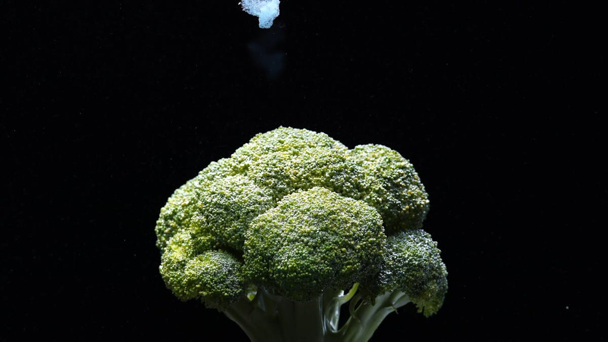 Broccoli Videos, Download The BEST Free 4k Stock Video Footage ...